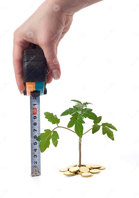 Hand measures plant growth stock image. Image of detail - 2198947