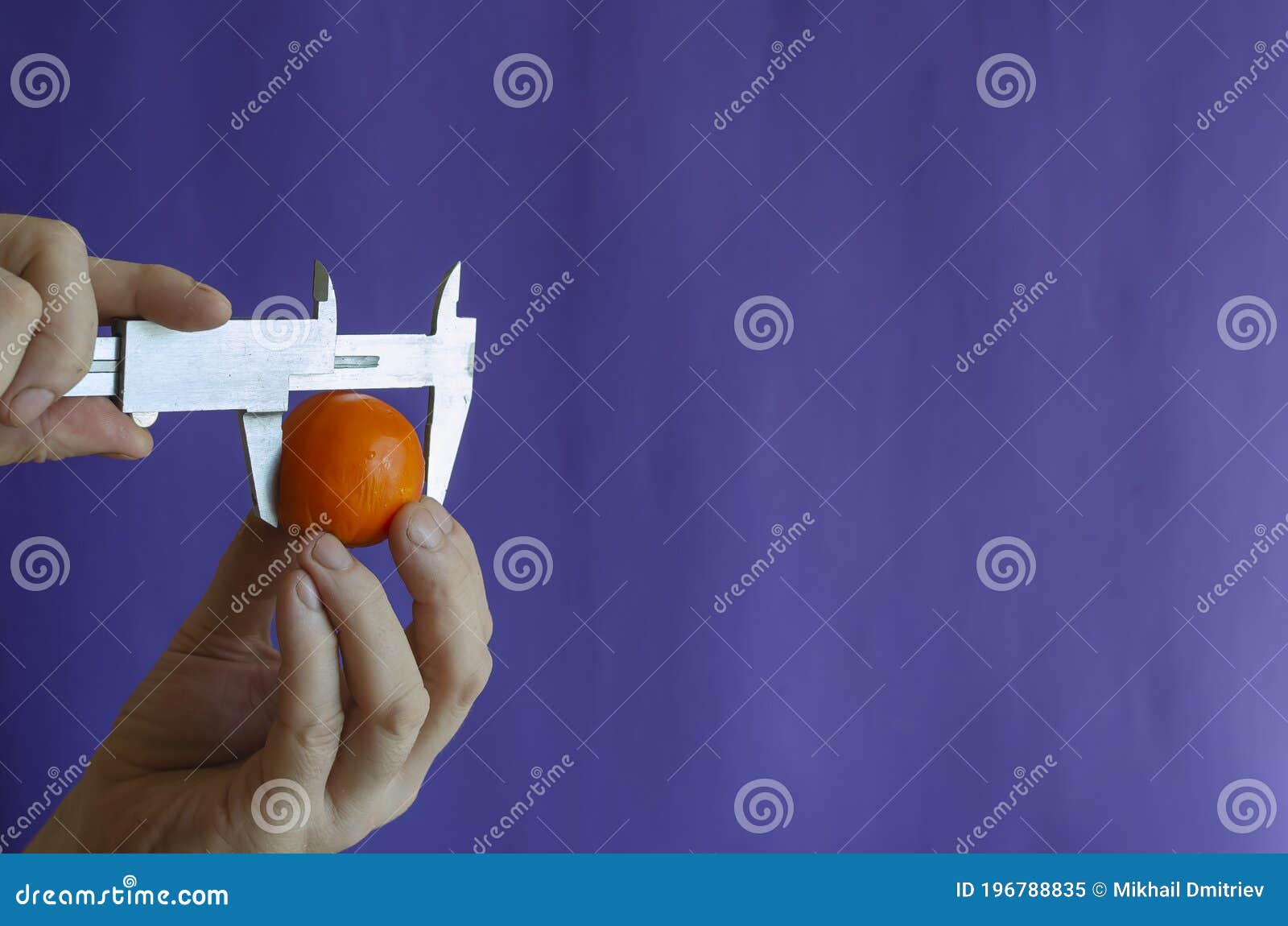 Hand Measures a Ripe Tomato with a Caliper Stock Image - Image of ruler ...