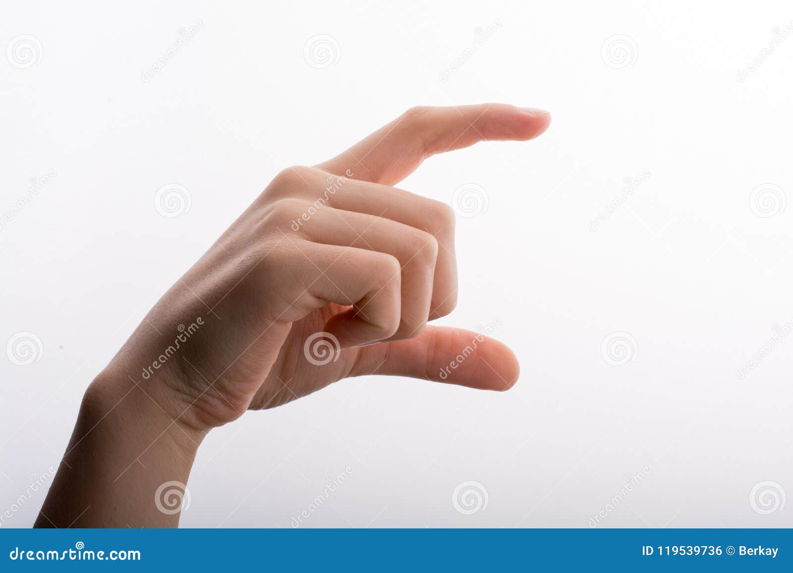 Hand measuring stock photo. Image of scale, female, holding - 119539736
