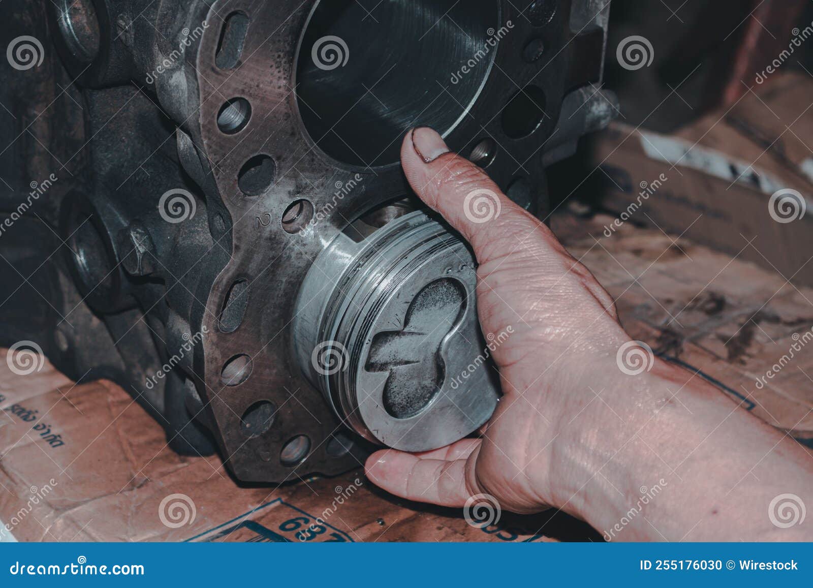 Hand of a Mechanic Checking an Engine Stock Photo - Image of mechanic ...