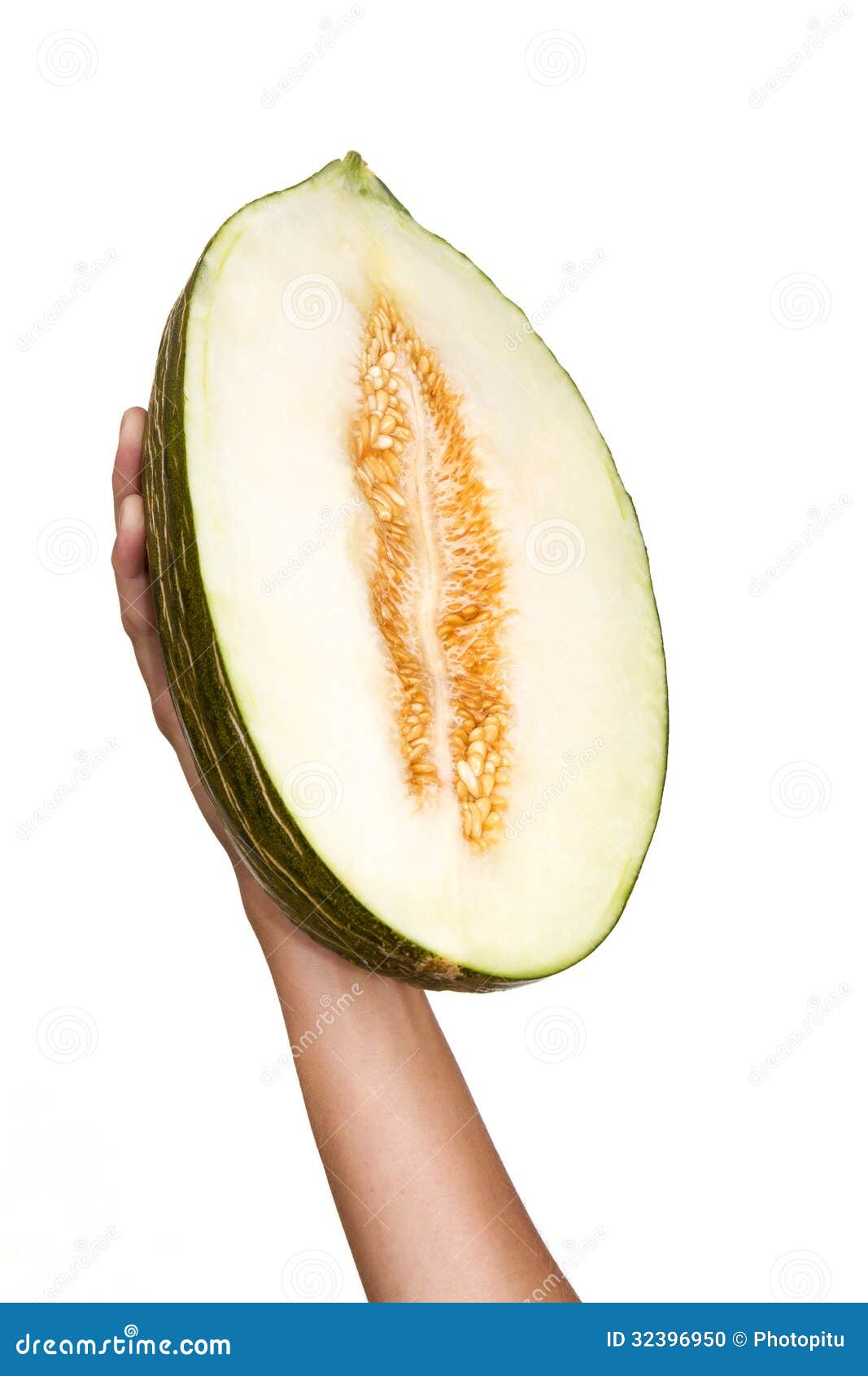 Hand with a melon stock photo. Image of finger, healthy - 32396950