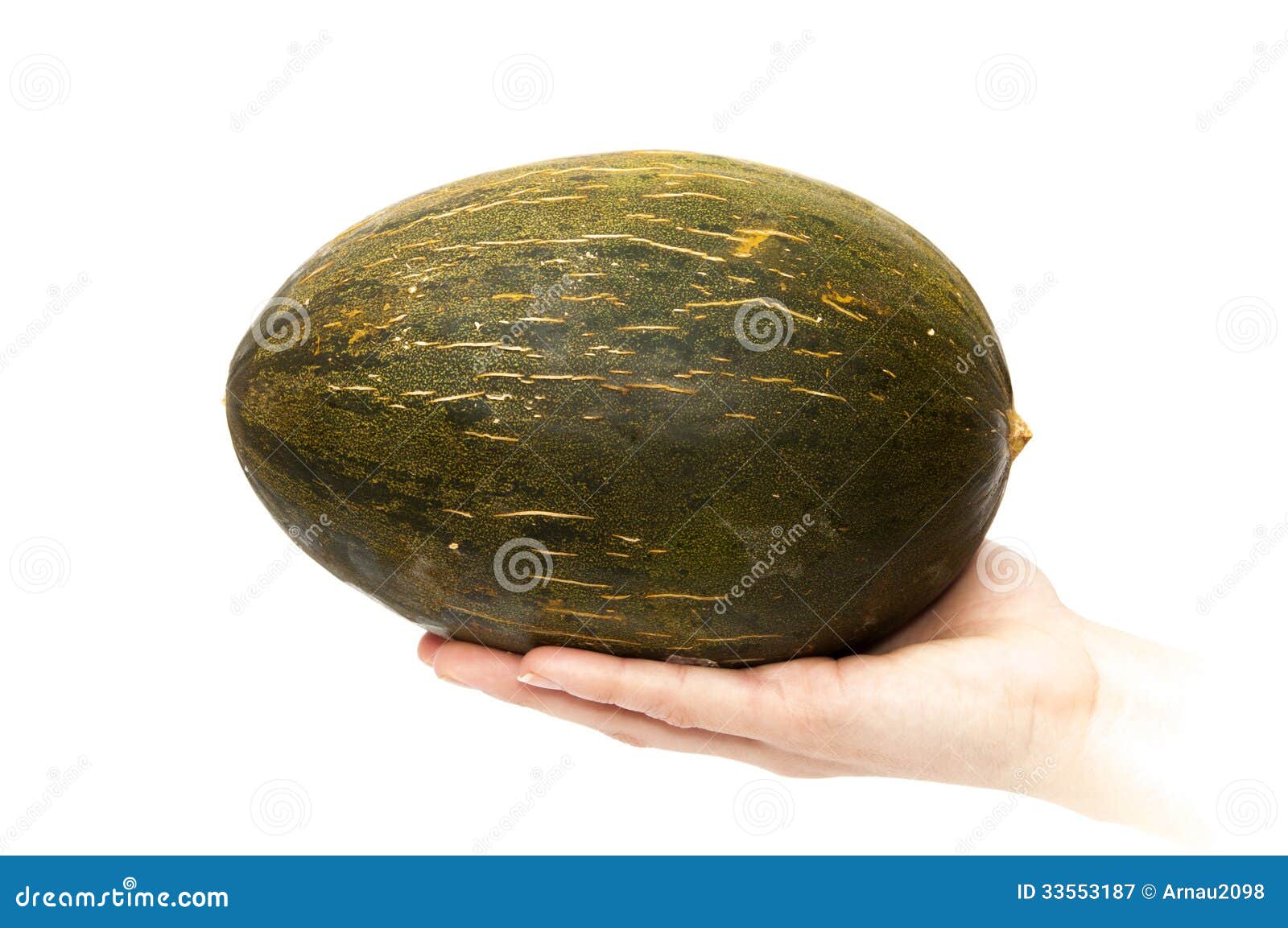 Hand with a melon stock image. Image of healthy, ripe - 33553187