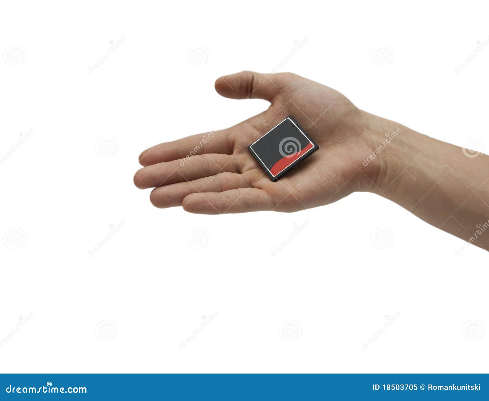Hand with memory card stock image. Image of gadget, file - 18503705