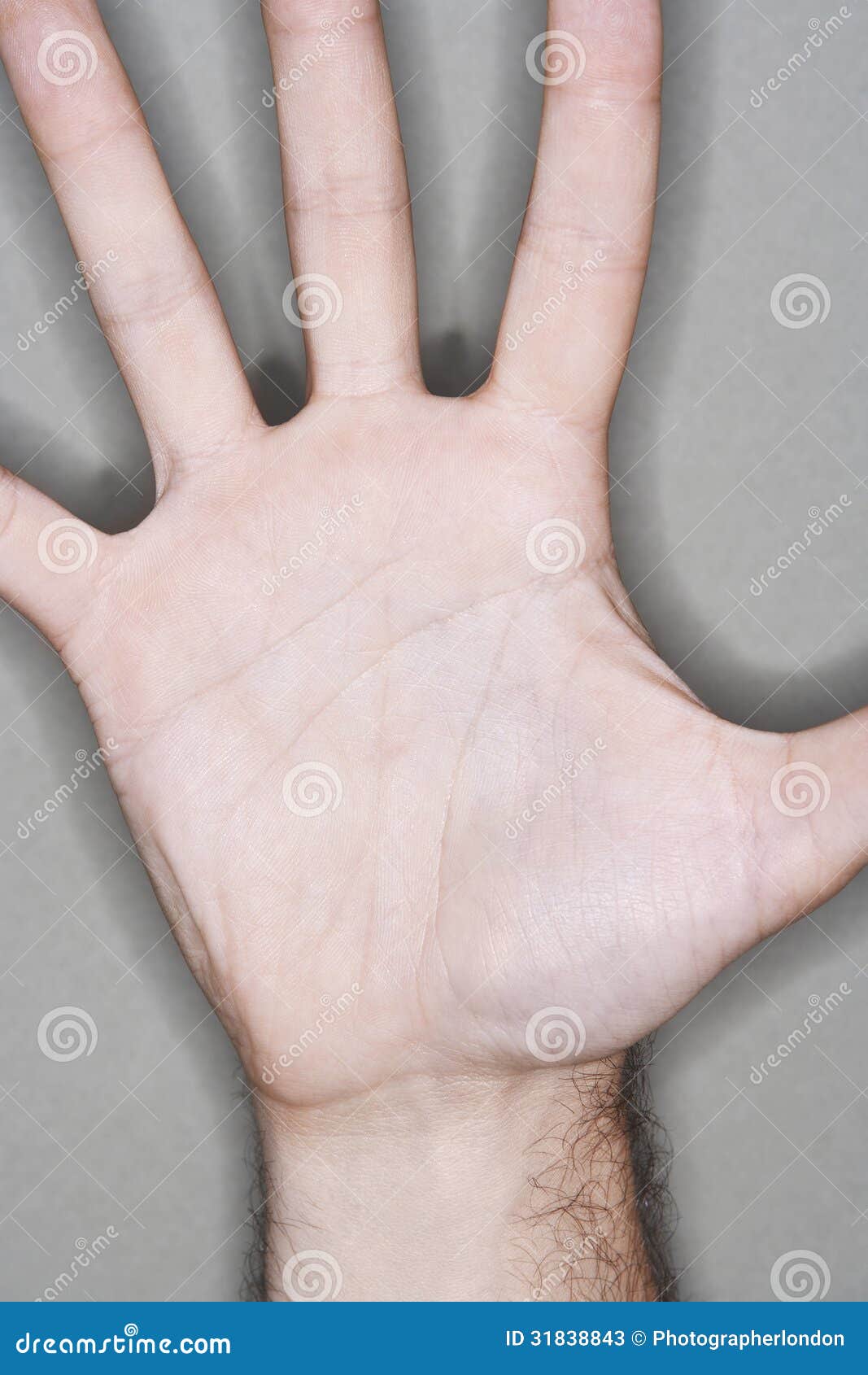 Hand Met Uitgestrekte Vingers Stock Afbeelding - Image of grijs ...