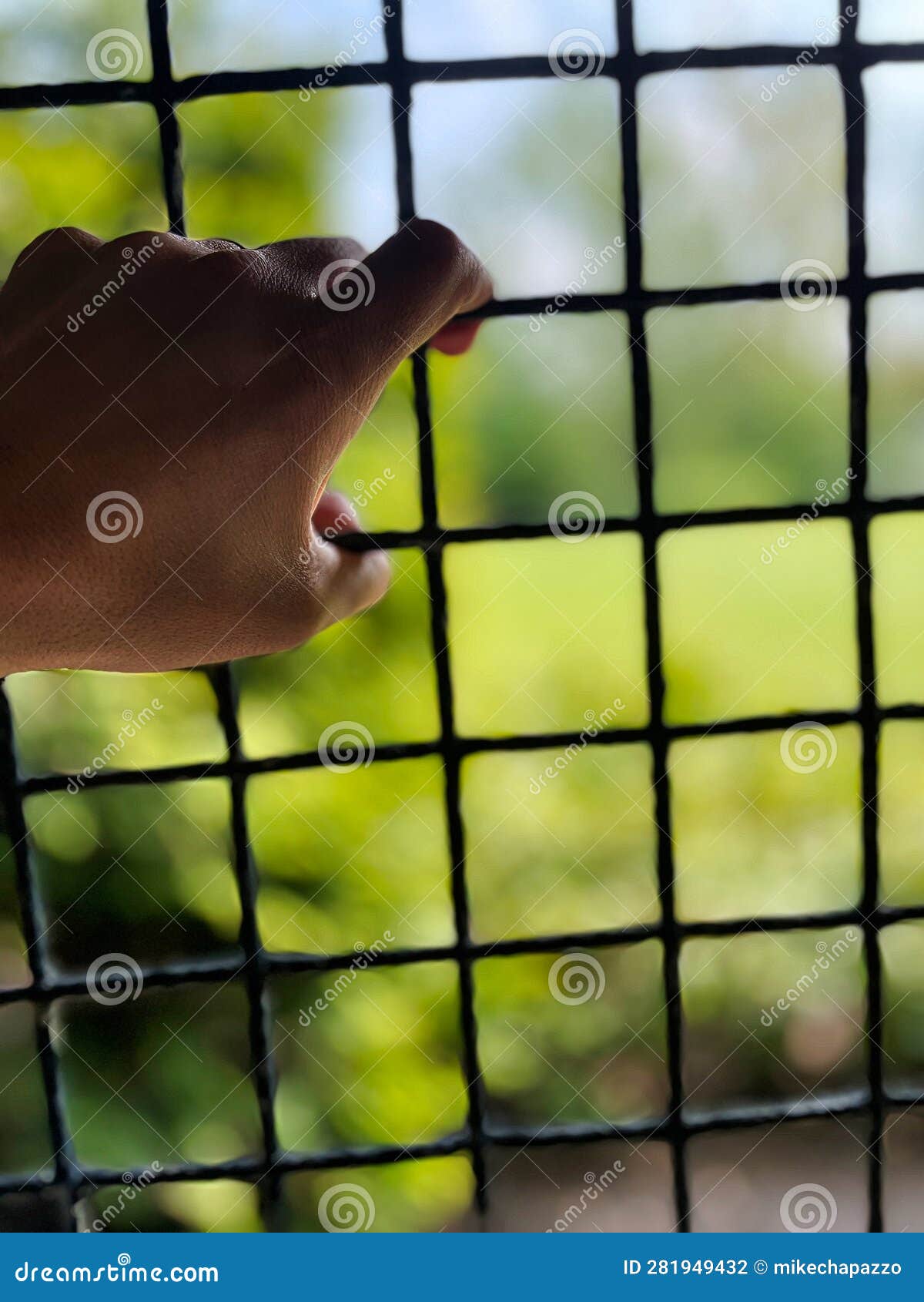 Hand on metal bars stock photo. Image of lock, female - 281949432