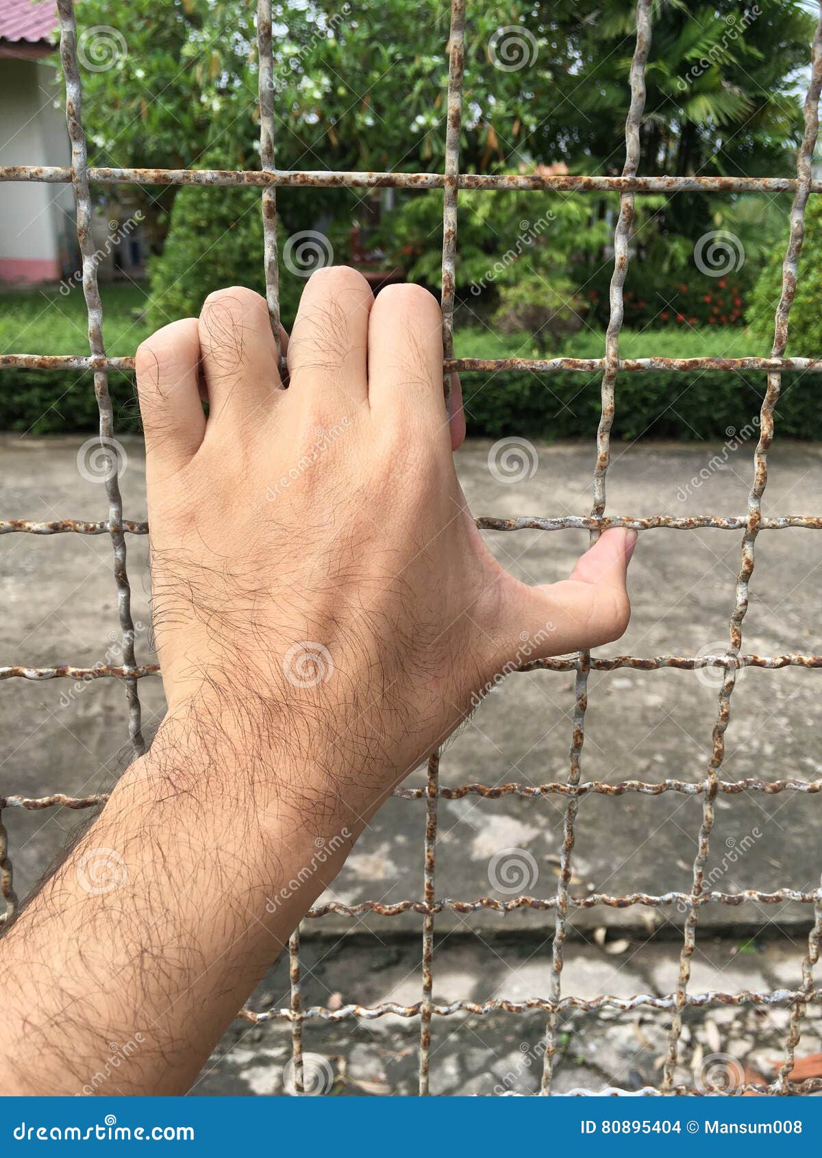 Hand with metal fence stock photo. Image of finger, holding - 80895404