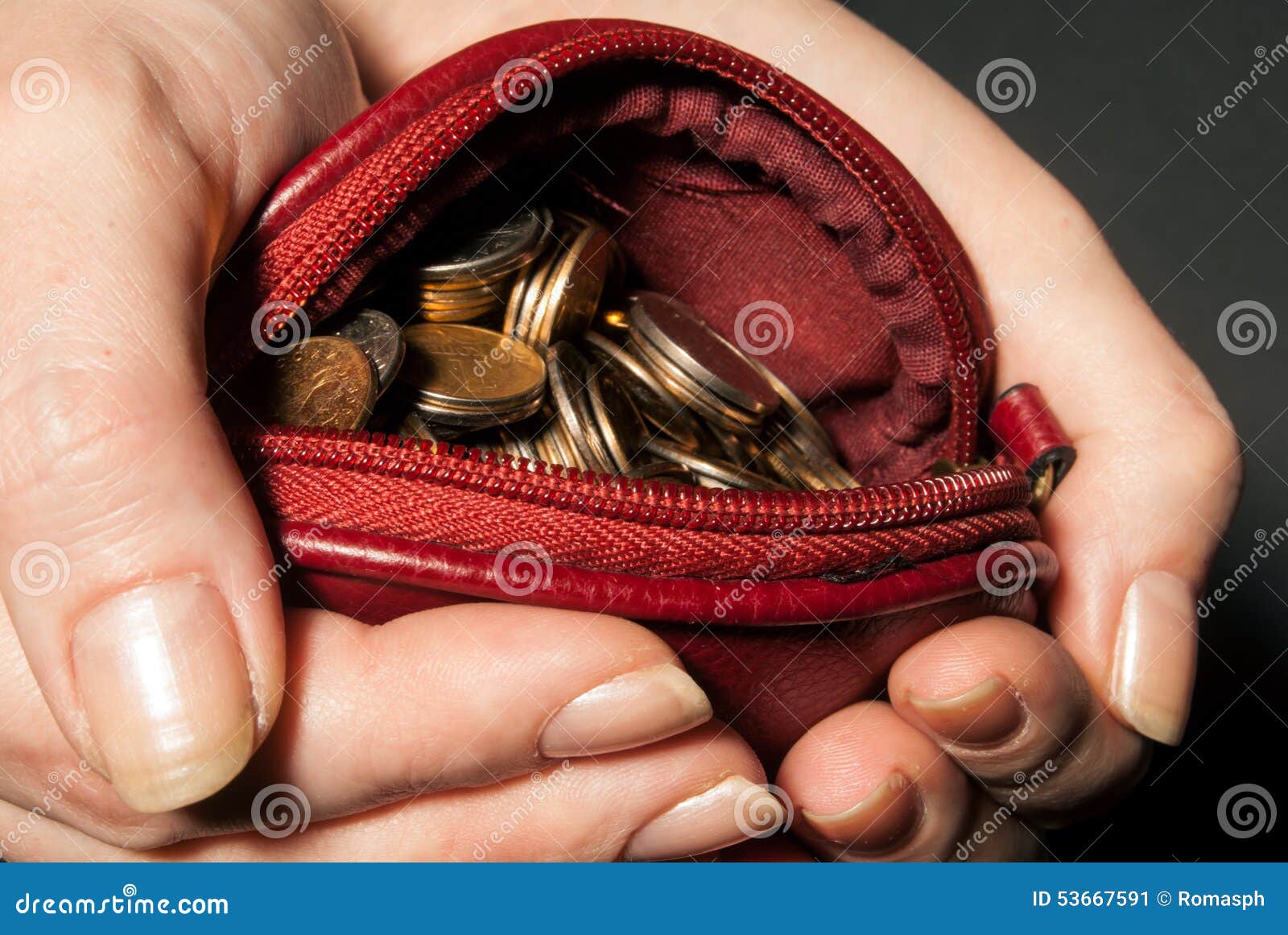 Hand mit Geldbeutel stockbild. Bild von faser, einkaufen - 53667591