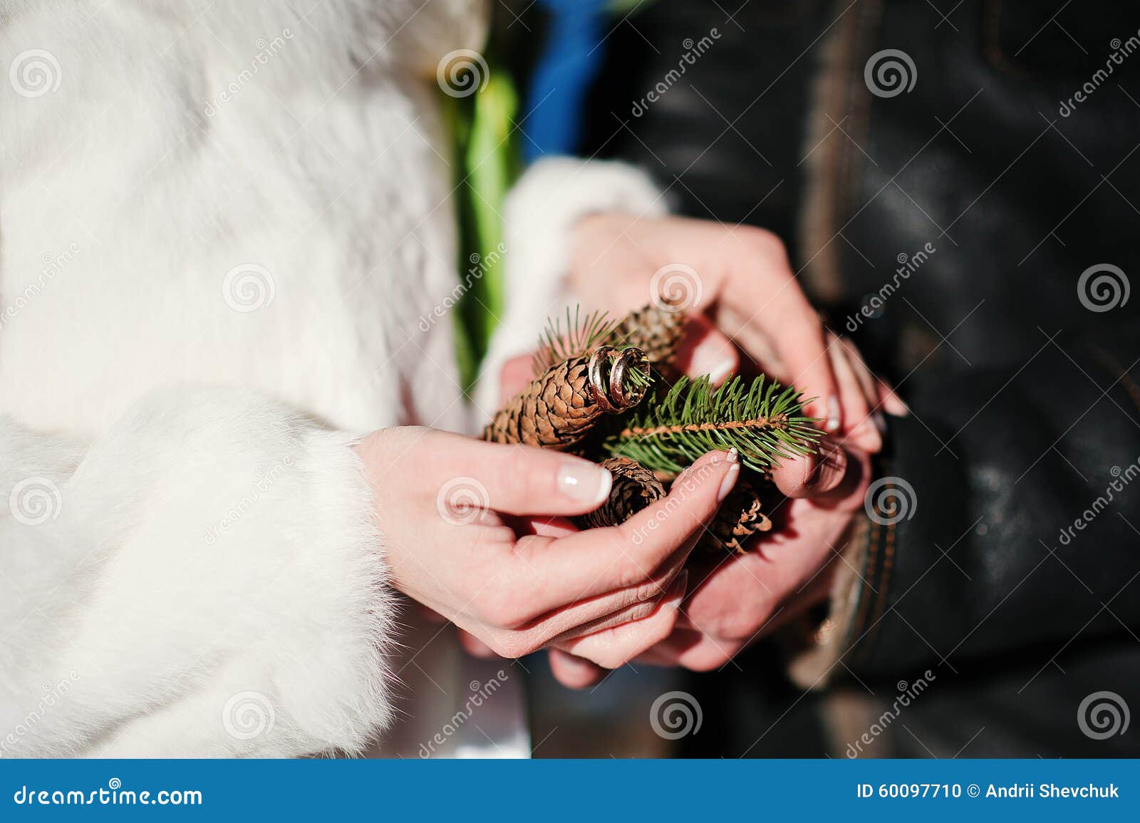 Hand Mit Ringen Von Hochzeitspaaren Stockfoto - Bild von braut ...