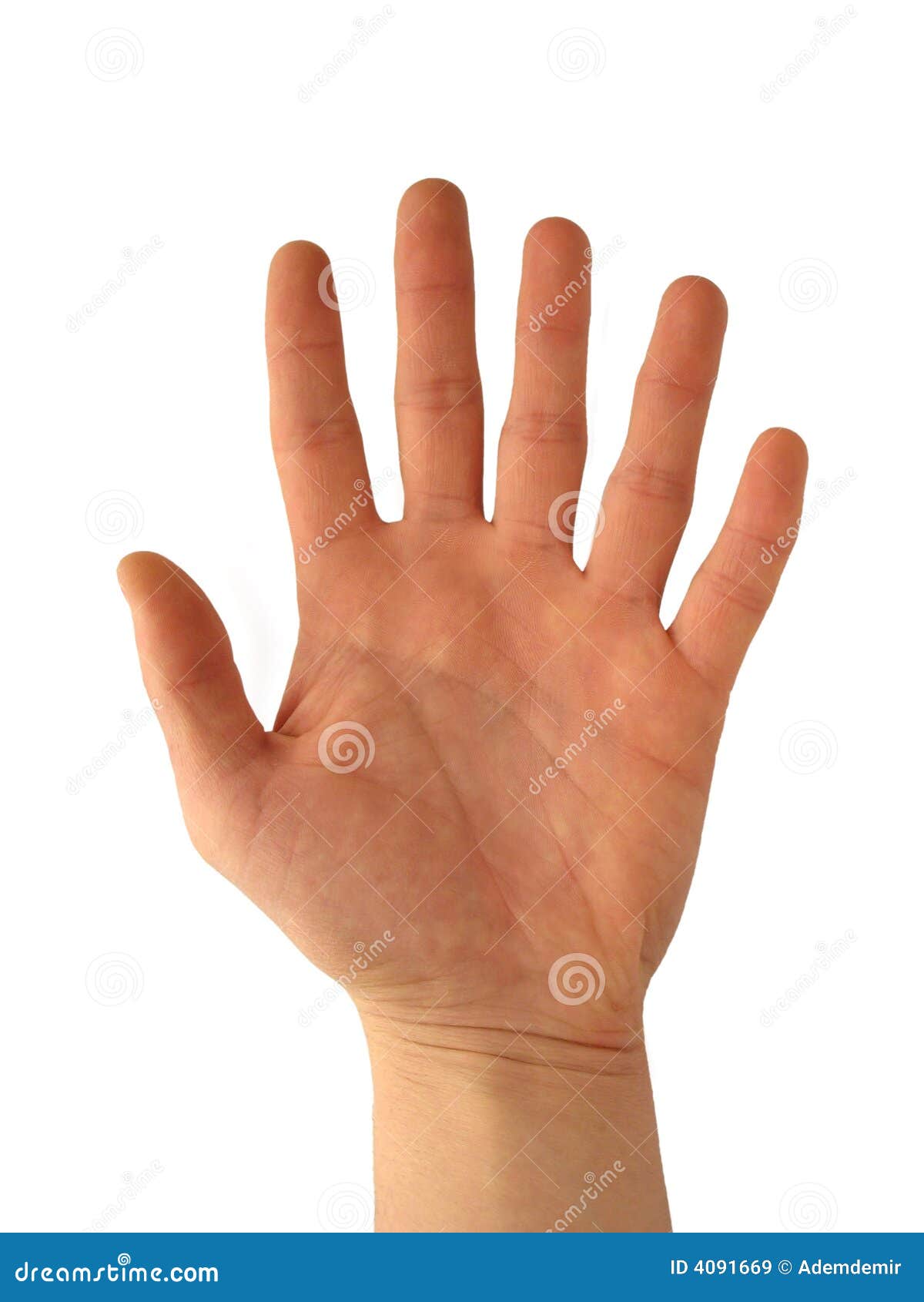 Hand mit sechs Fingern stockbild. Bild von exemplar, sechs - 4091669