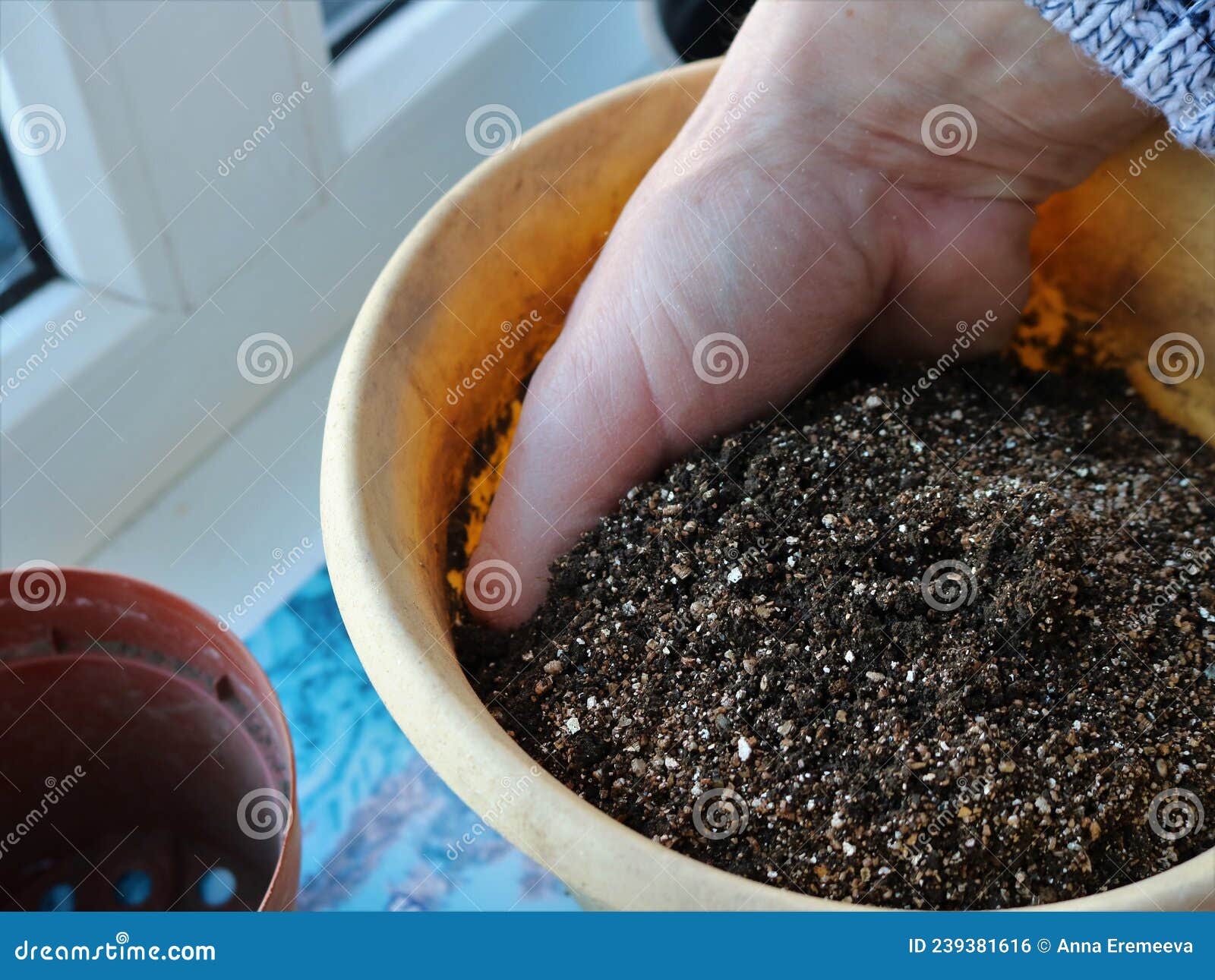Hand Mixing Soil with Perlite in a Pot Stock Photo - Image of hand ...