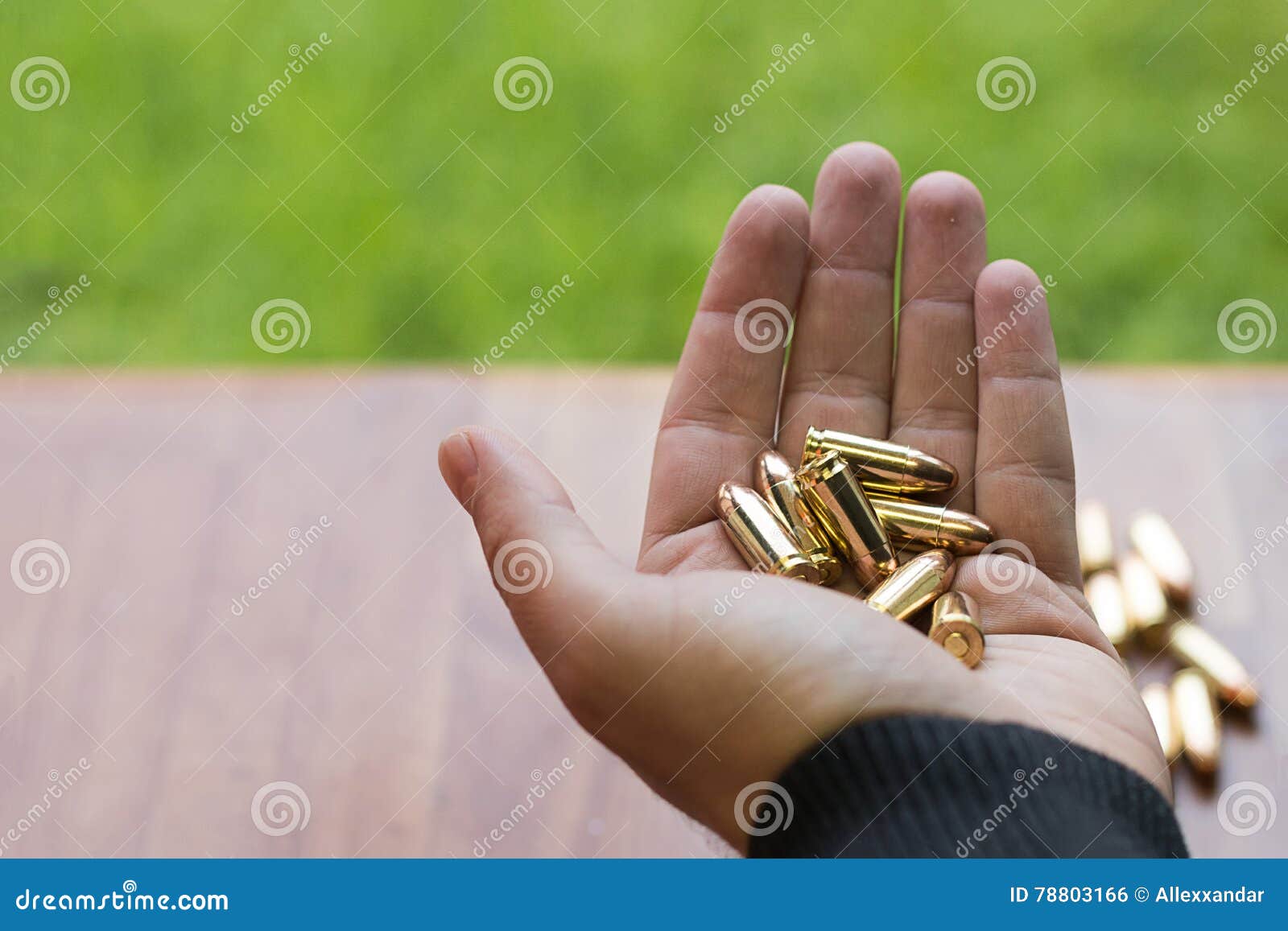 Hand with 9mm Bullets. Hand Holding Bullets Stock Photo - Image of ...