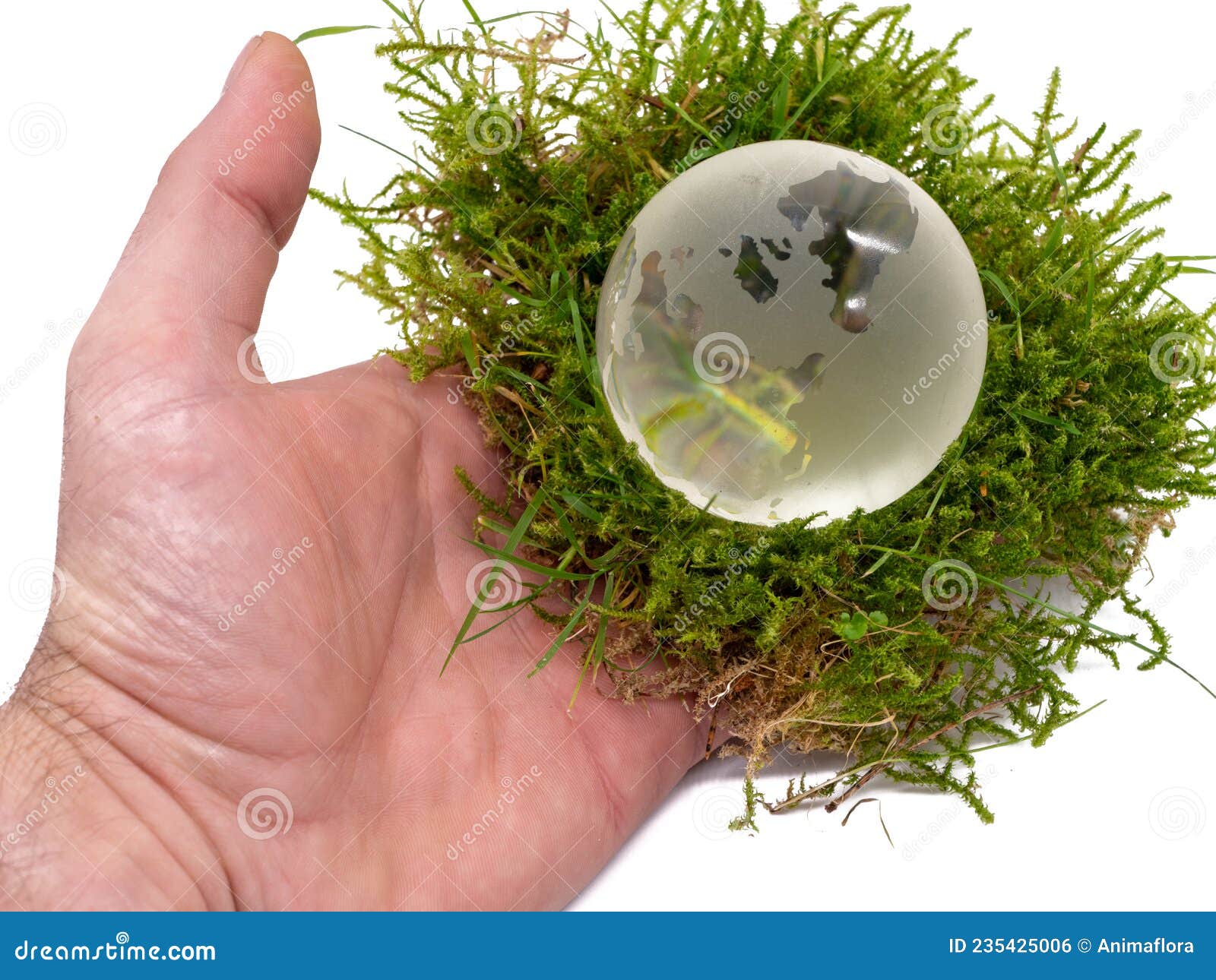 Hand with Moss and Earth Globe Isolated on White Background Stock Photo ...