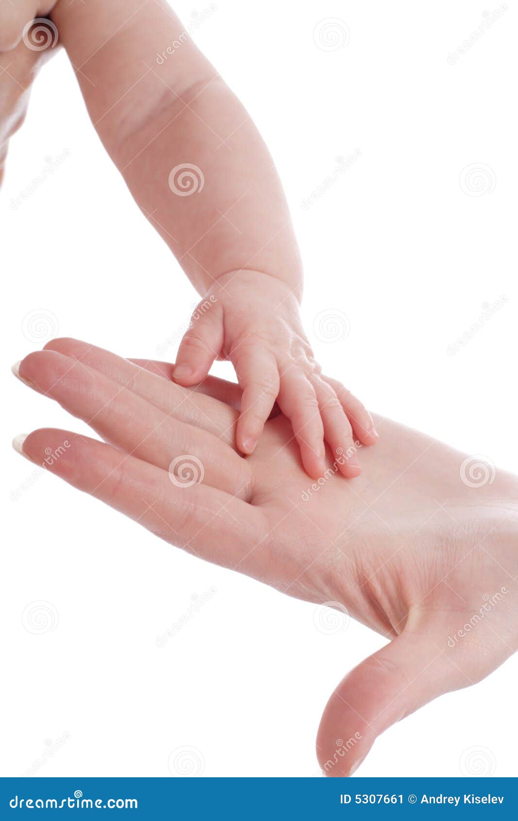 Hand of mother stock image. Image of guard, mother, arms - 5307661