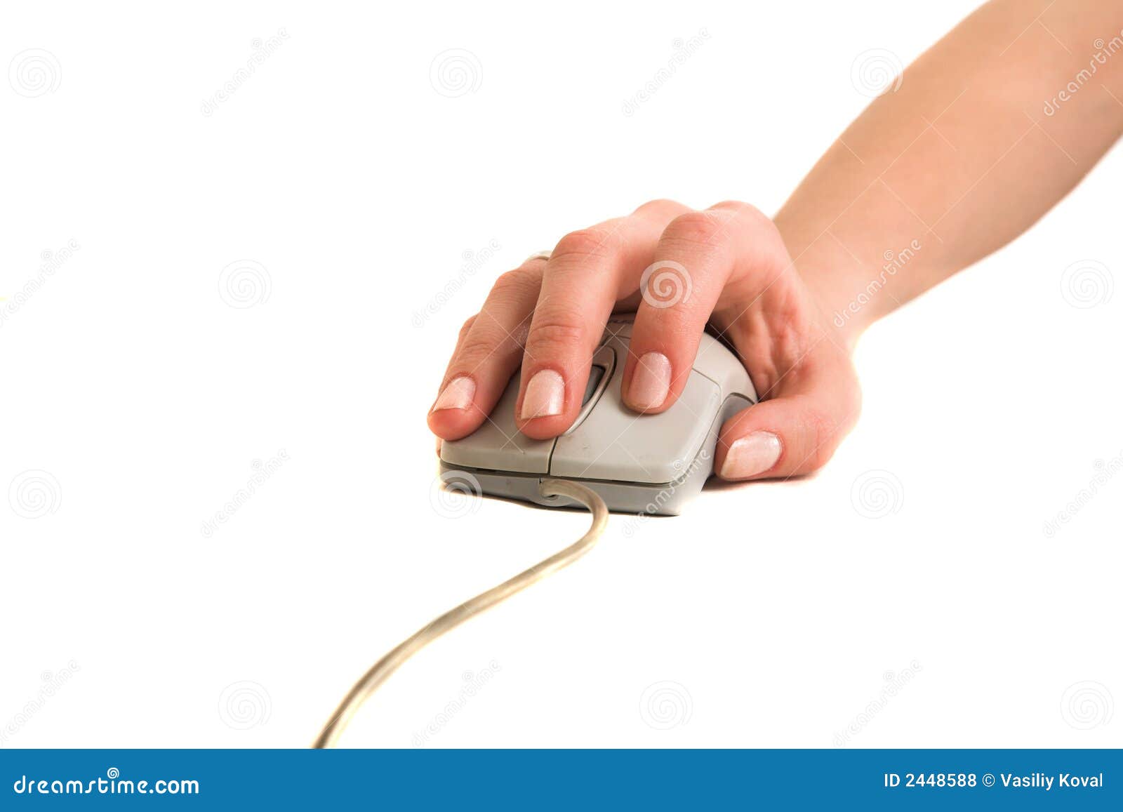 Hand and mouse stock photo. Image of human, business, electronics - 2448588