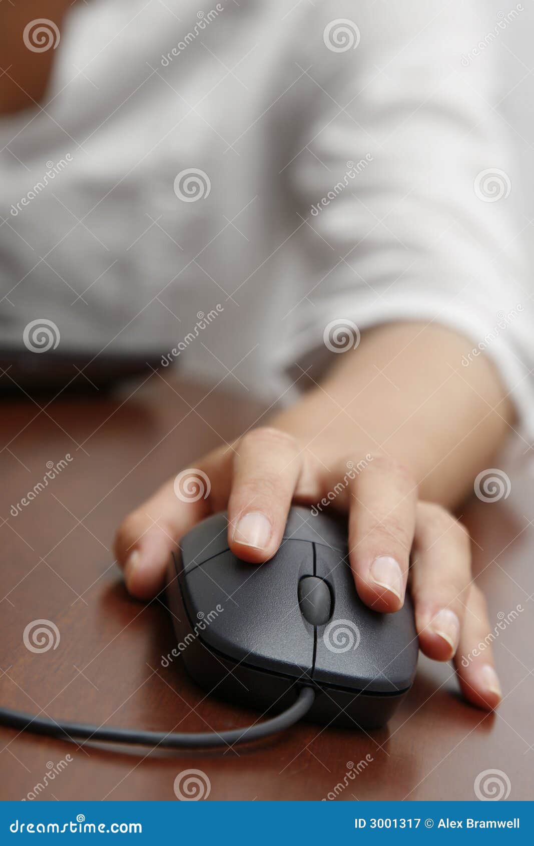 Hand and Mouse stock image. Image of female, finance, security - 3001317