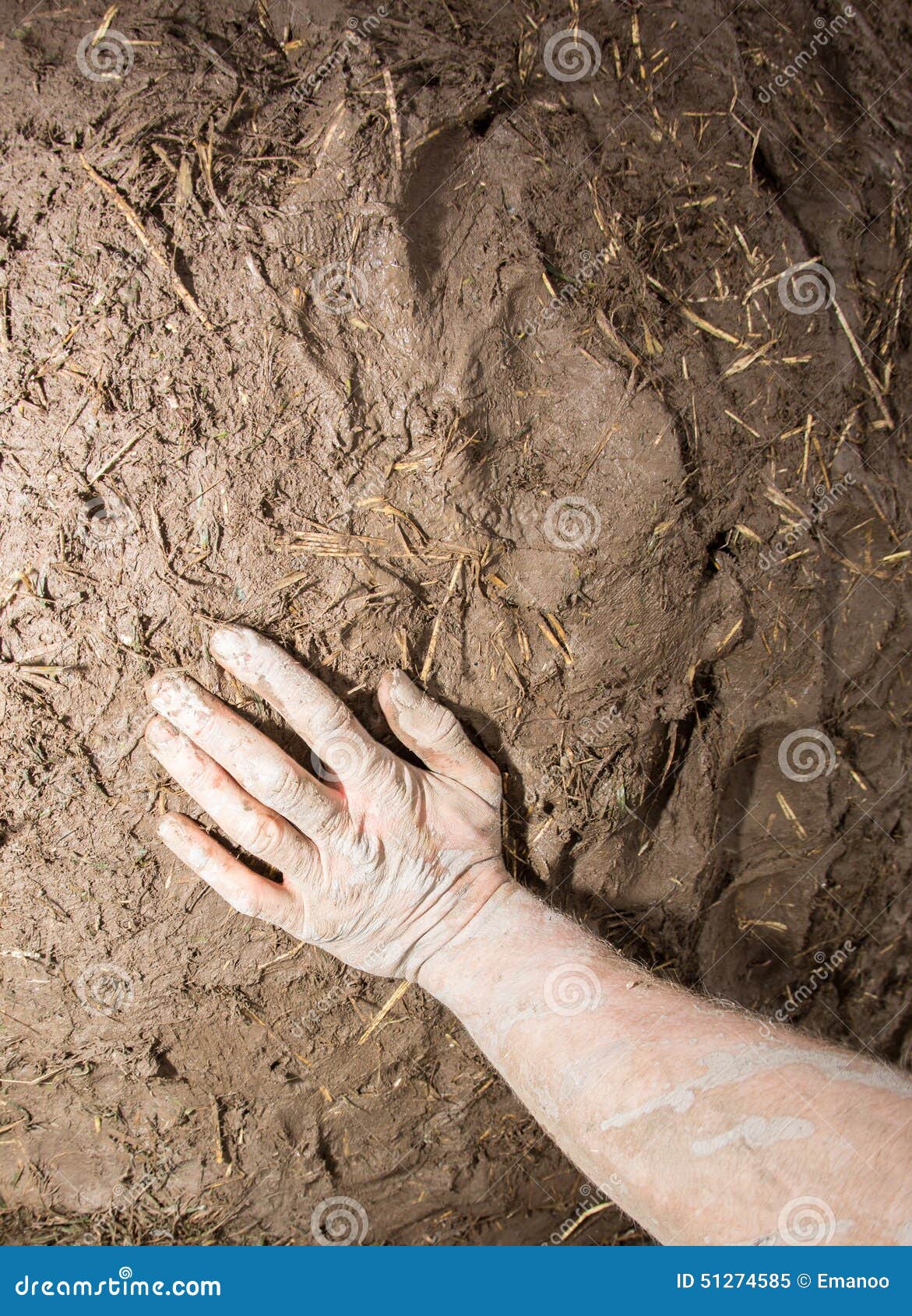 Hand in mud stock image. Image of farmer, dirty, hand - 51274585