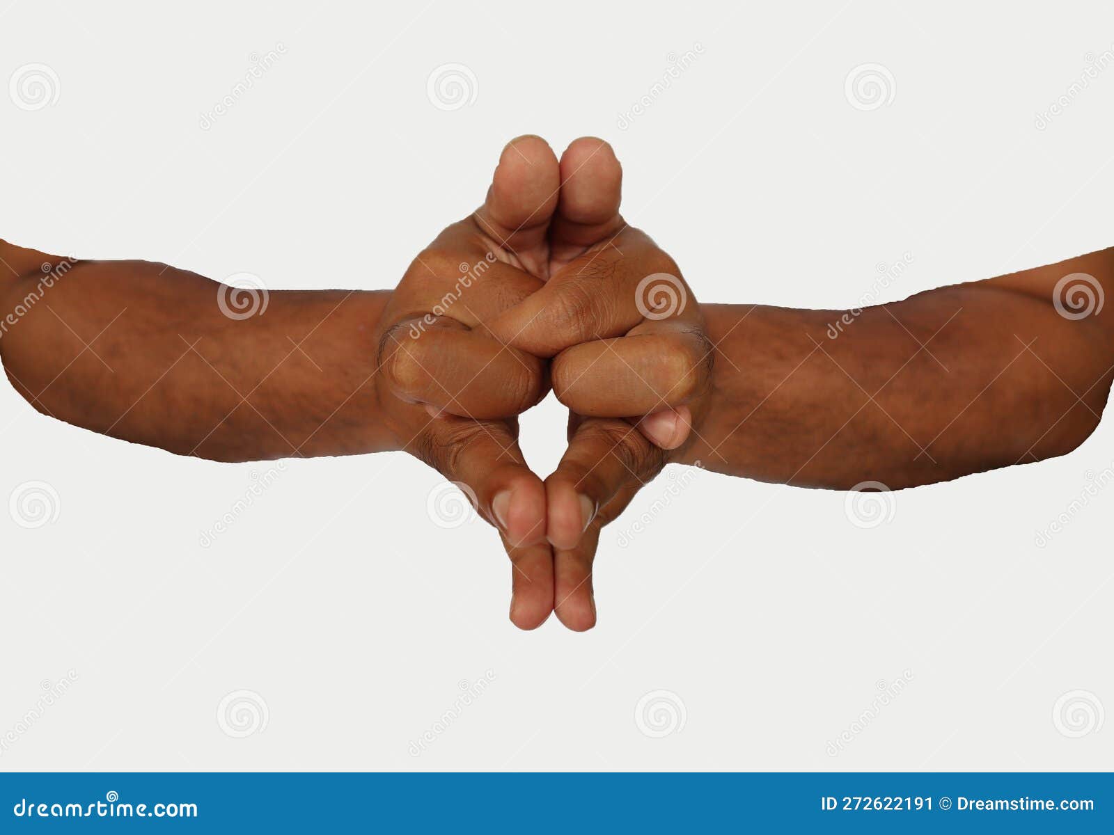 Hand Mudras. It Includes Such Mudras,. Gestures Is Isolated On White ...