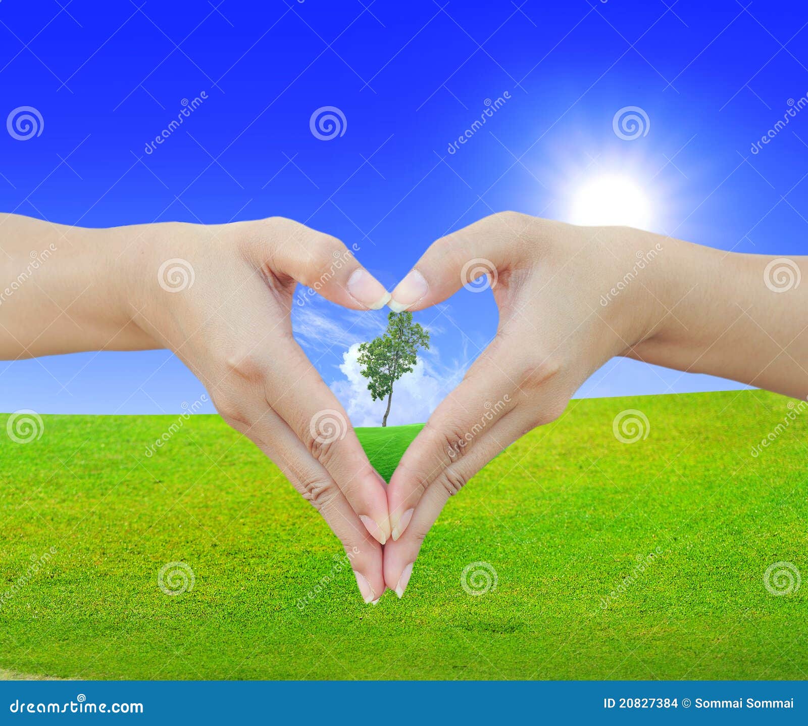 Hand and nature concept stock photo. Image of conceptual - 20827384