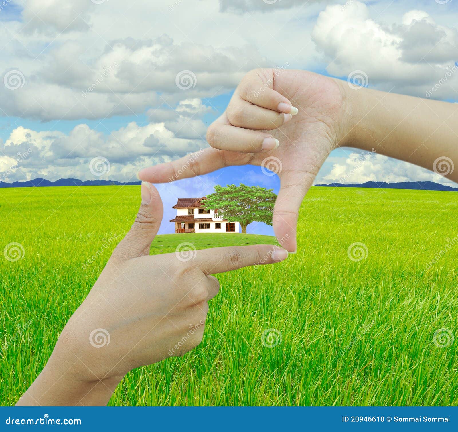 Hand and nature concept stock photo. Image of earth, beautiful - 20946610