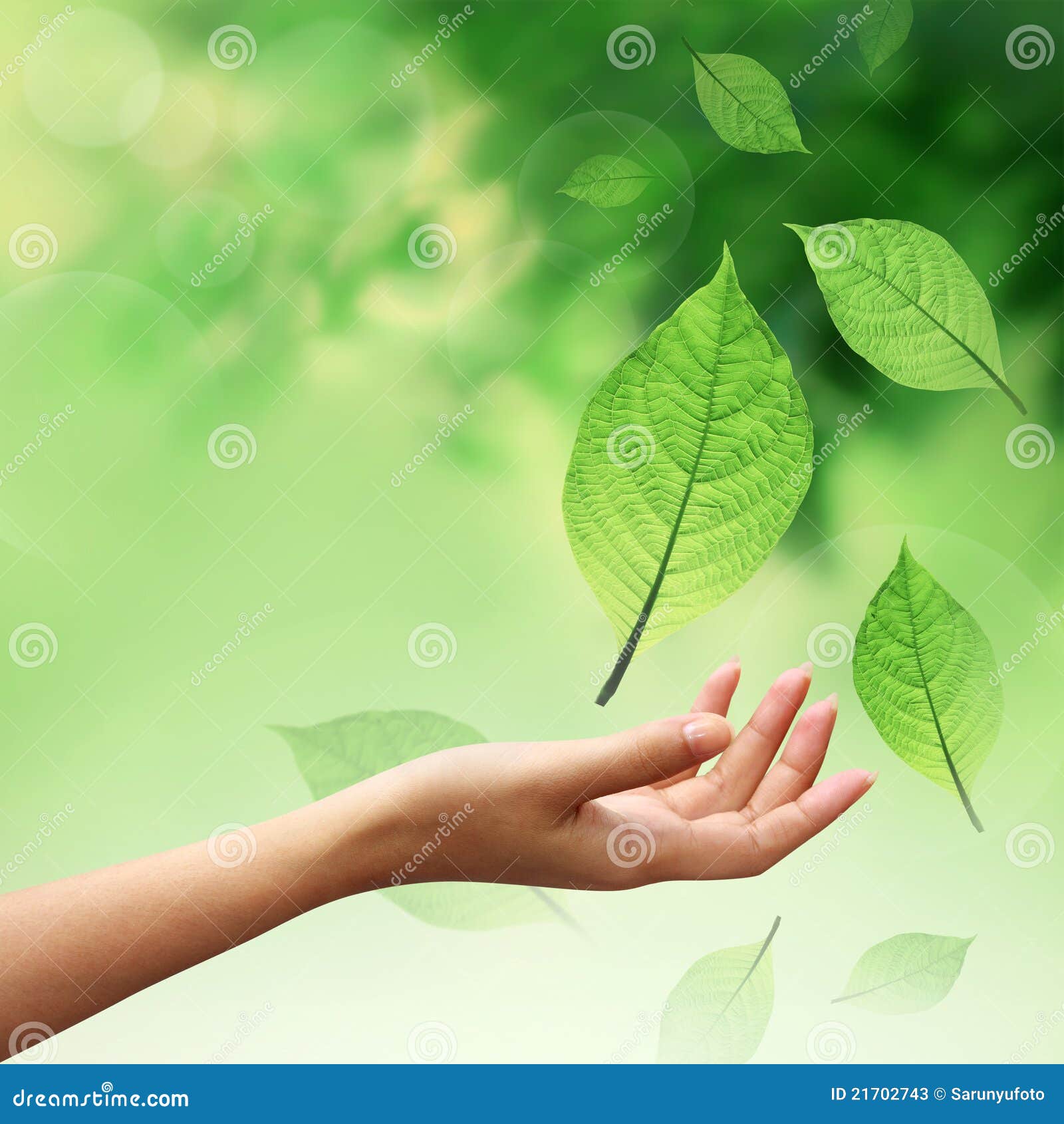 Hand with Nature Element Leafs Stock Image - Image of ideas, fragile ...