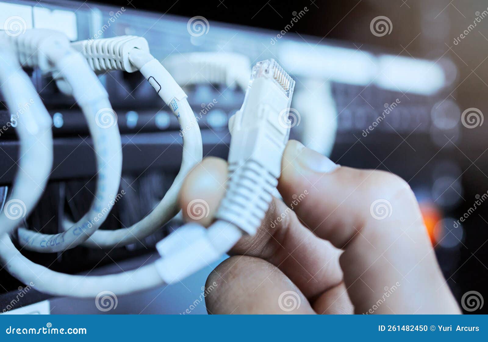 Hand on Network Cable in Server Room or Data Center for Maintenance on ...