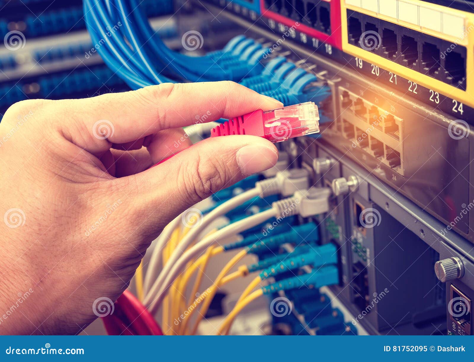 Hand with Network Cables Connected To Servers Stock Image - Image of ...