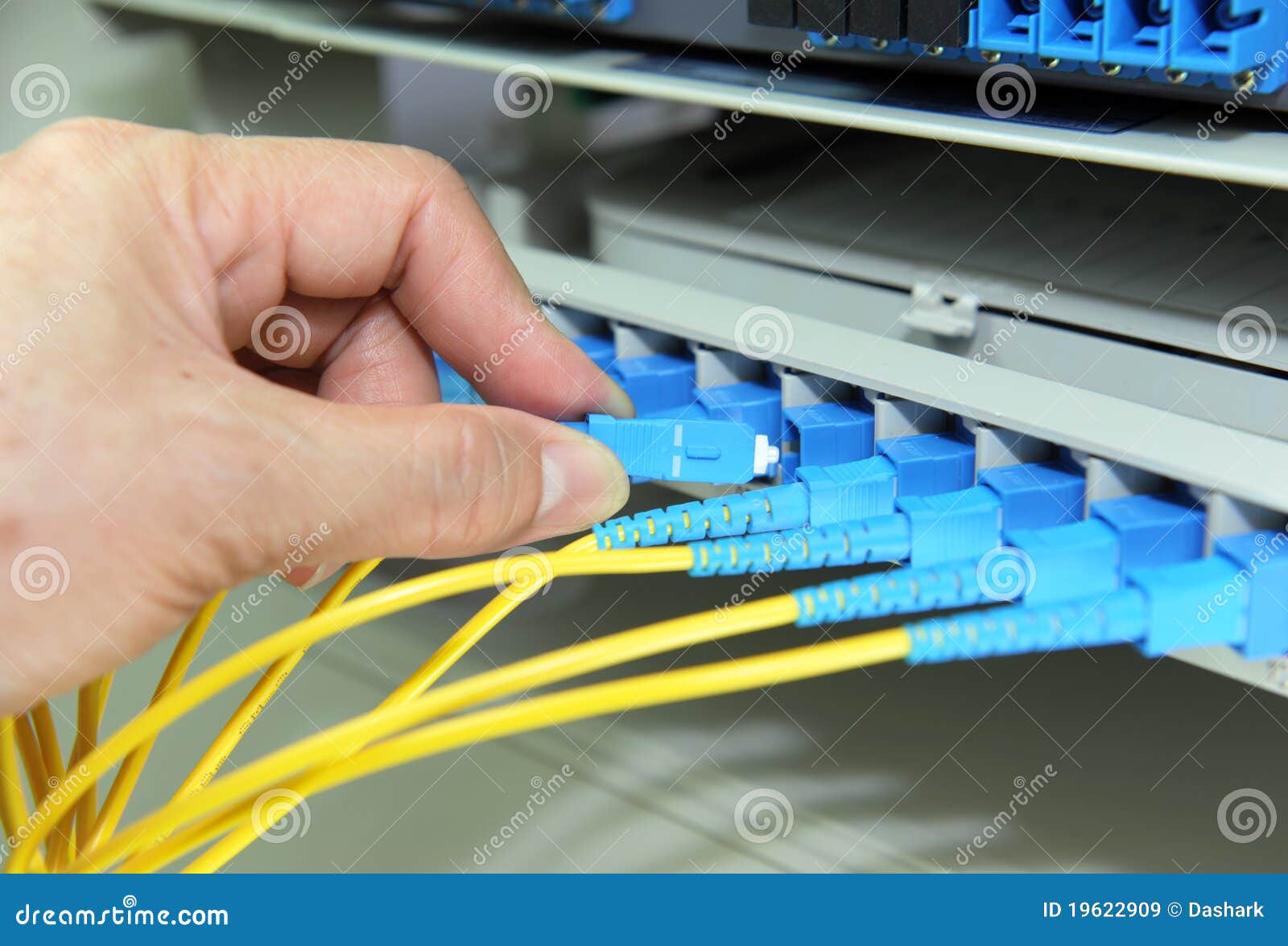 Hand with Network Cables and Hub Stock Image - Image of communicate ...