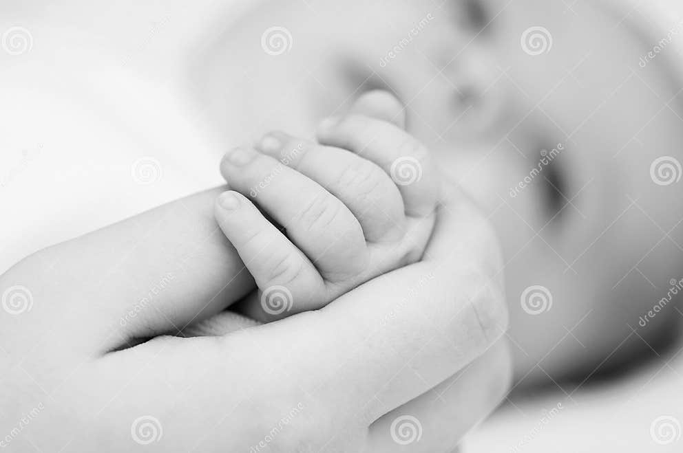 Hand of the newborn stock photo. Image of neonate, parent - 13686828