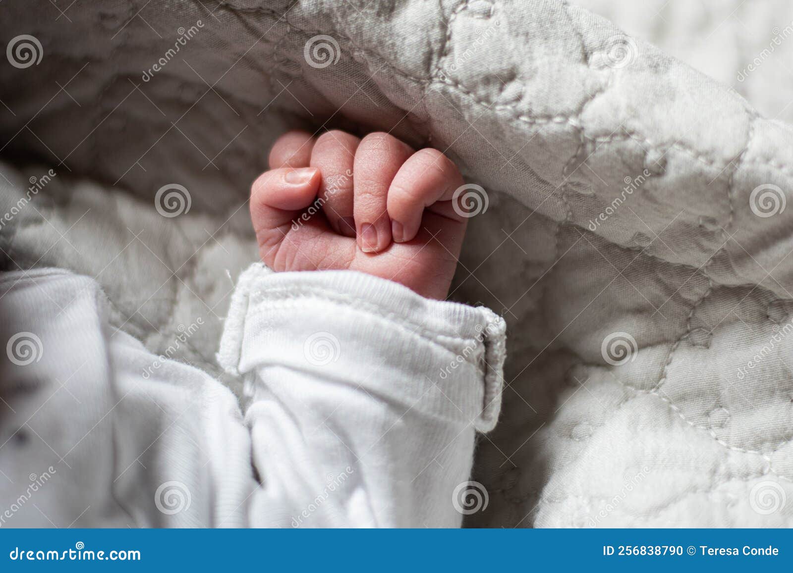 The hand of a newborn baby stock photo. Image of pediatric - 256838790