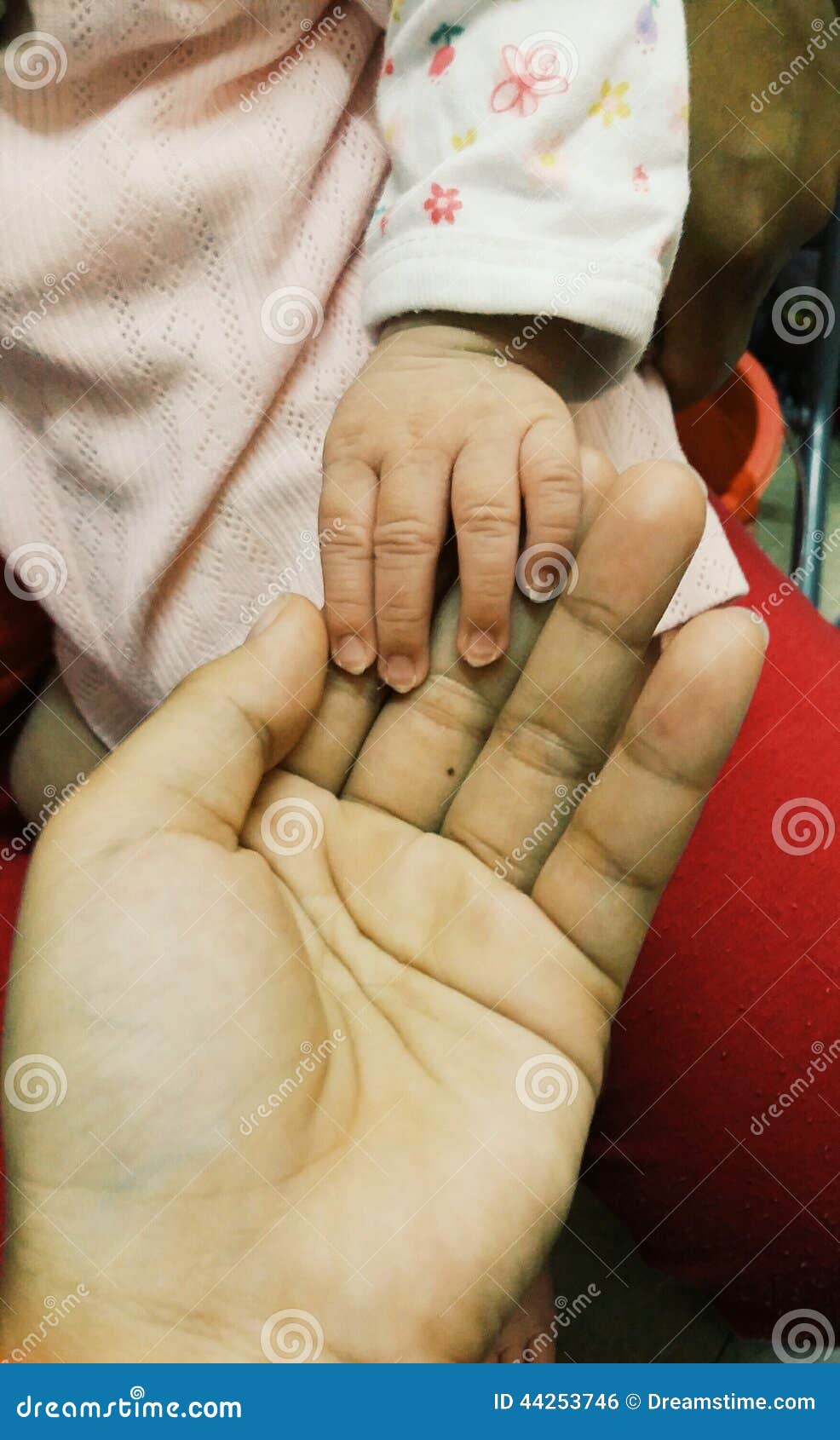 Hand of the Newborn stock photo. Image of newborn, touch - 44253746