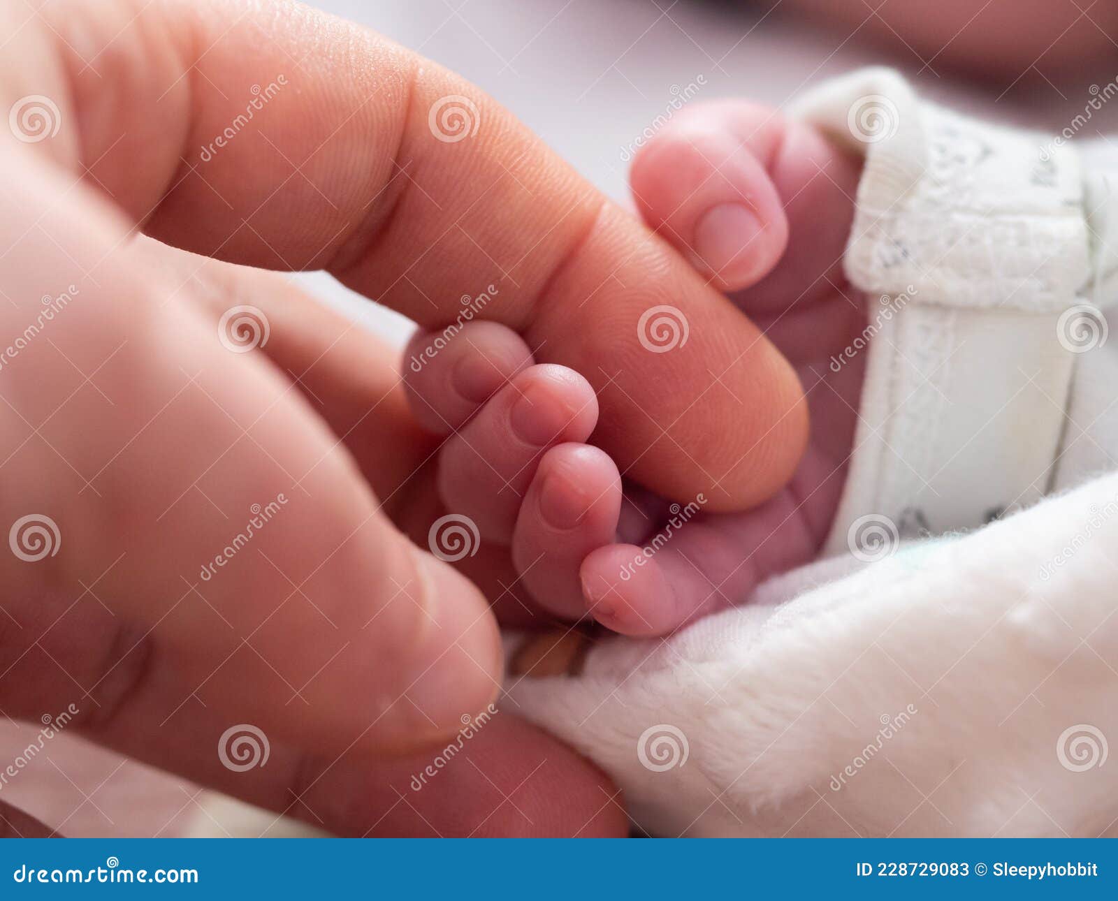 Hand of newborn baby stock image. Image of closeup, born - 228729083