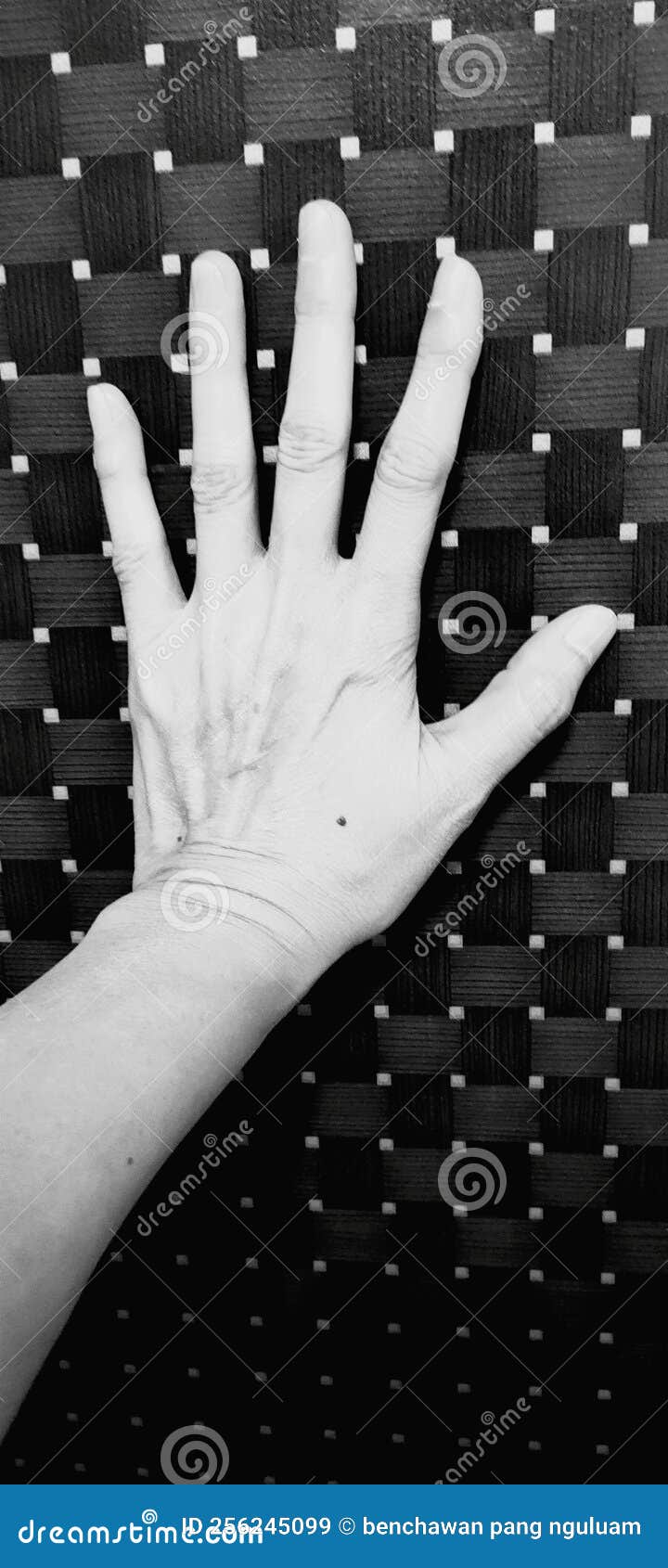 Hand in the night stock image. Image of footwear, monochrome - 256245099