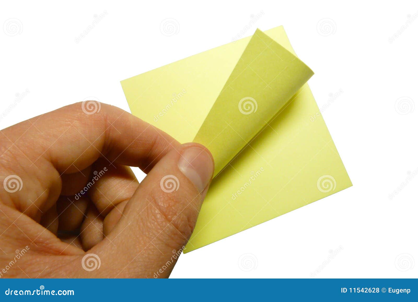 Hand with note stock photo. Image of accounting, clip - 11542628