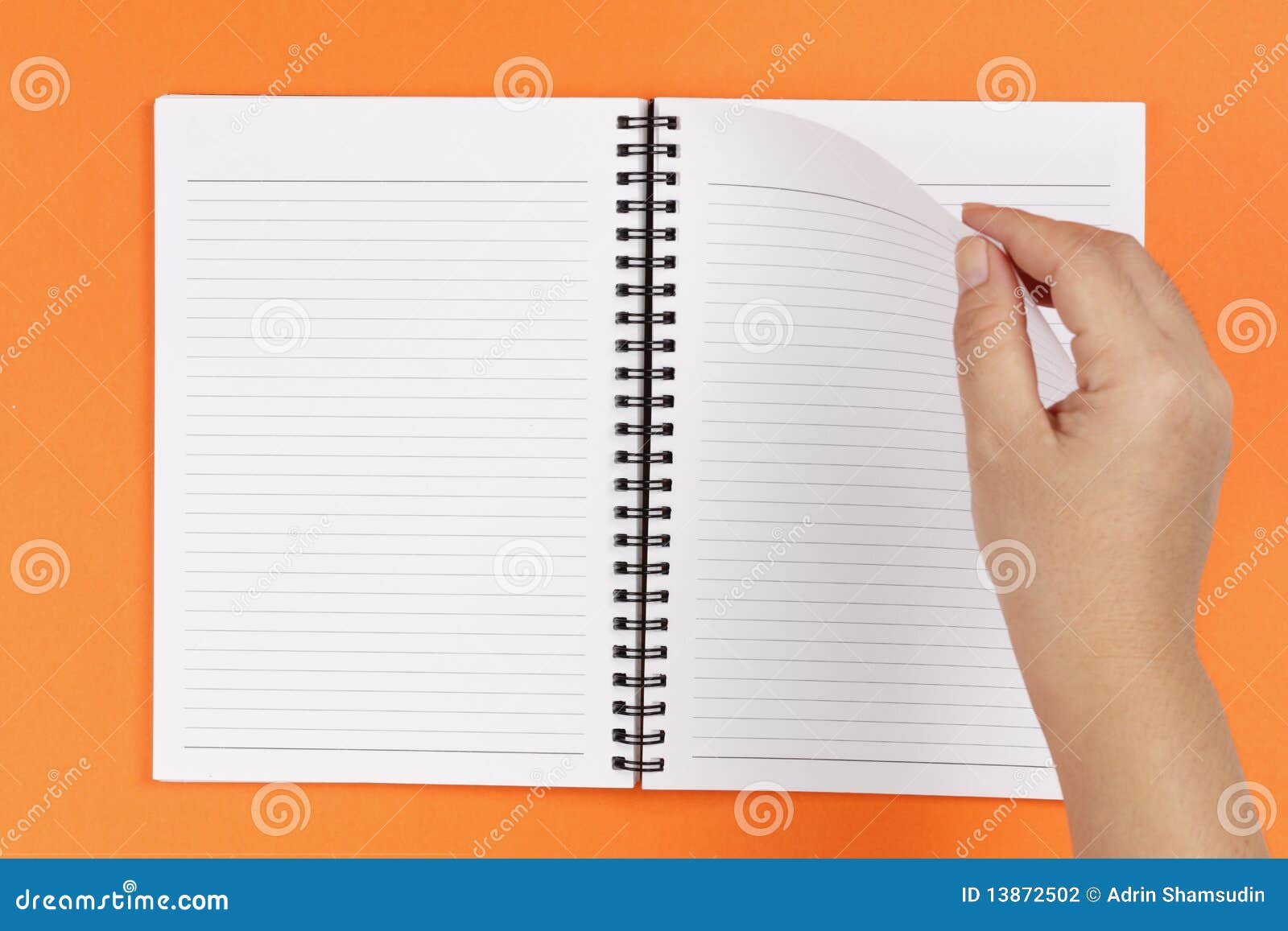 Hand and notebook stock photo. Image of diary, open, orange - 13872502