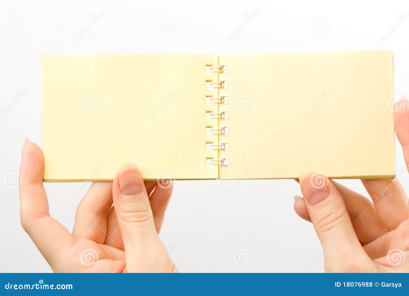 Hand and notepad stock photo. Image of paper, business - 18076988