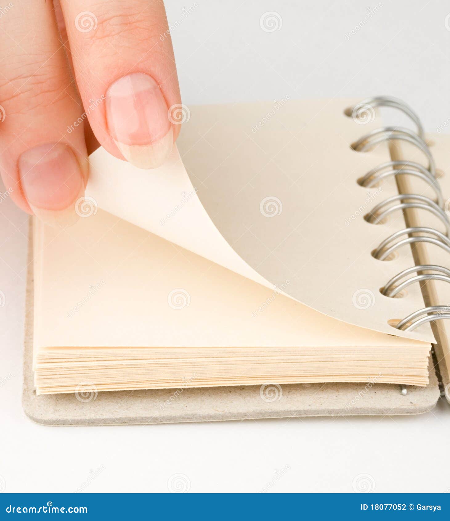 Hand and notepad stock photo. Image of data, notebook - 18077052