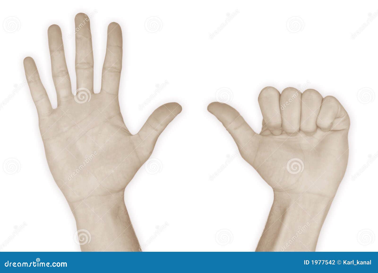 Hand Number 6 – six stock photo. Image of friend, background - 1977542