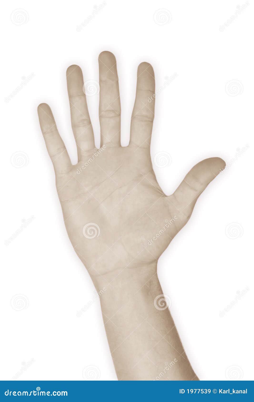 Hand Nummer 5 â vijf stock afbeelding. Image of positiviteit - 1977539