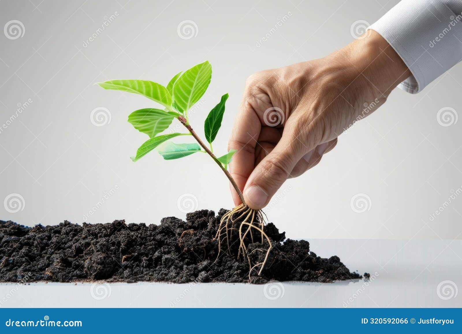 Hand Nurturing Young Plant in Soil. Generative Ai Stock Illustration ...