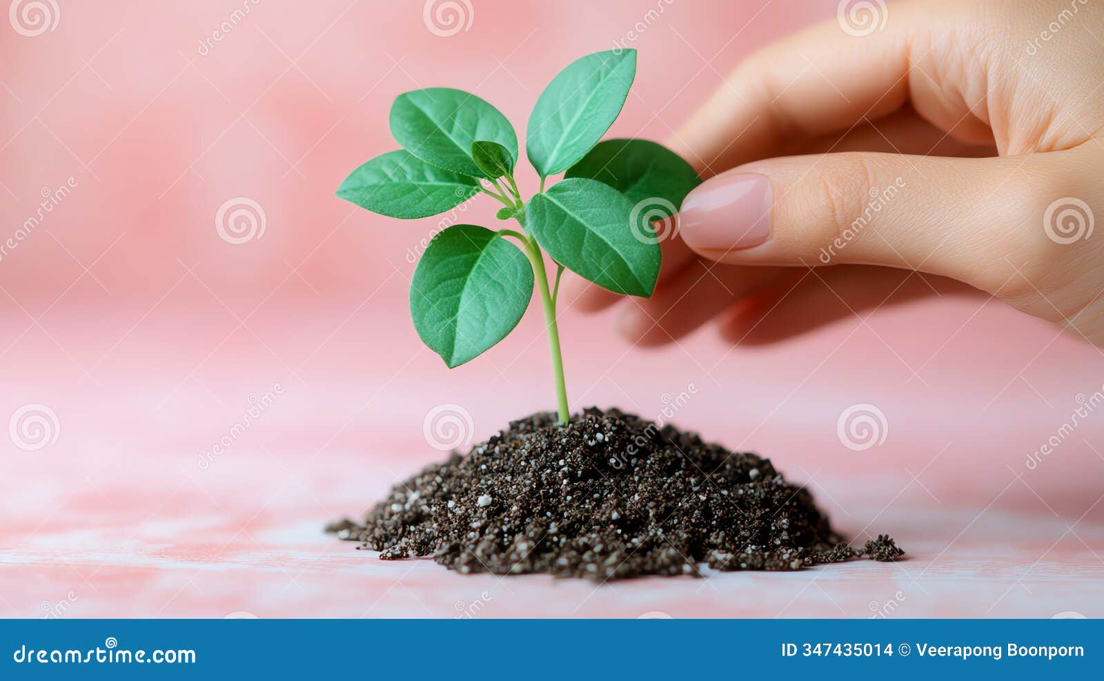 A Hand Nurturing a Young Plant, Symbolizing Growth and Environmental ...
