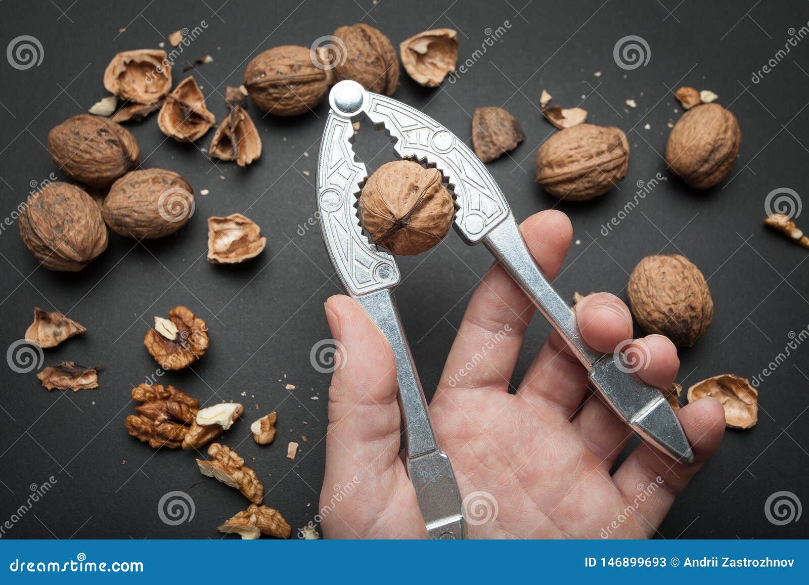 The Hand with the Nutcracker Cleaves the Walnut and Takes Out the Core ...