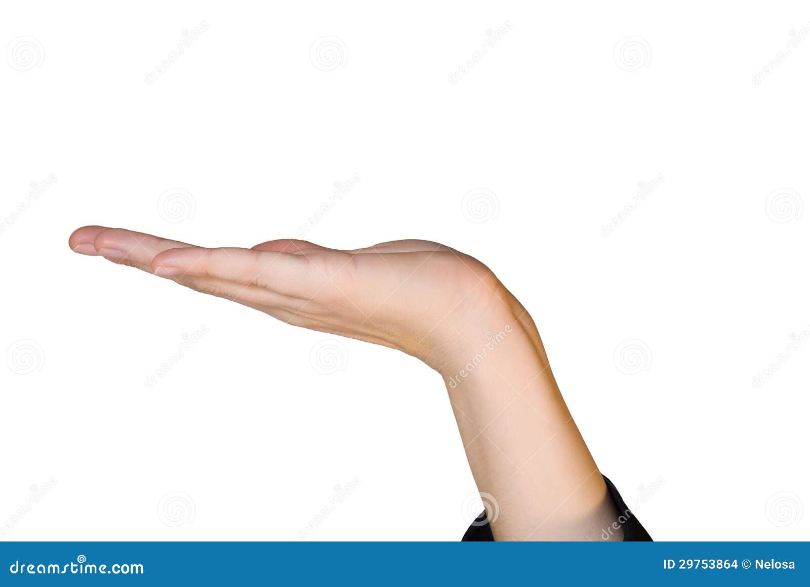 Hand offering stock photo. Image of advise, hold, catering - 29753864