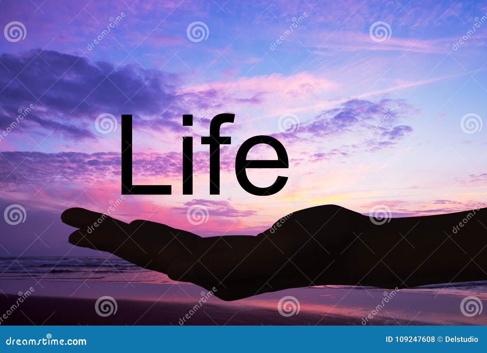 Word Life On Moss, Green Grass Background. Top View. Copy Space. Banner ...