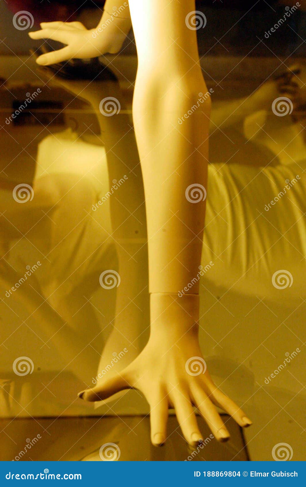 Human Tactile and Haptic Perception Stock Photo - Image of corpus ...