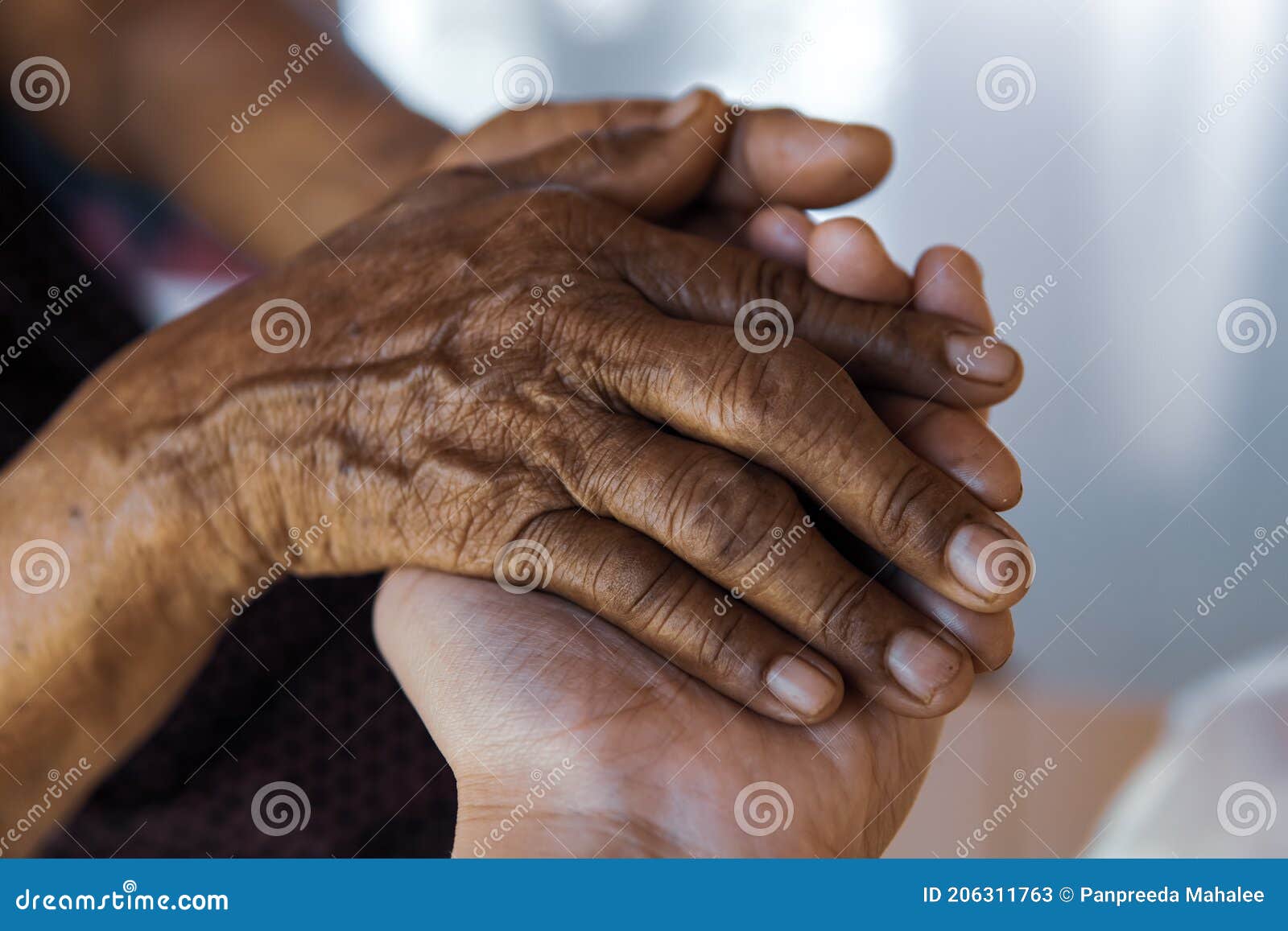 Hand of Old Touch with Hand of Young Stock Image - Image of hands ...
