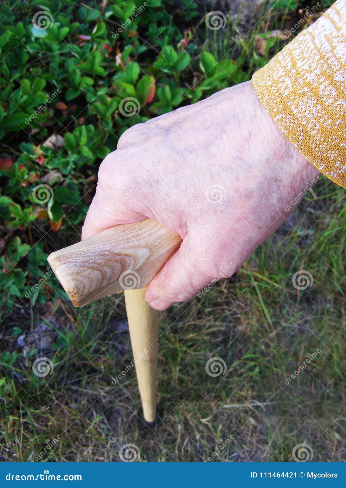 Hand of a Old Woman with Walking Stick Stock Image - Image of crutch ...