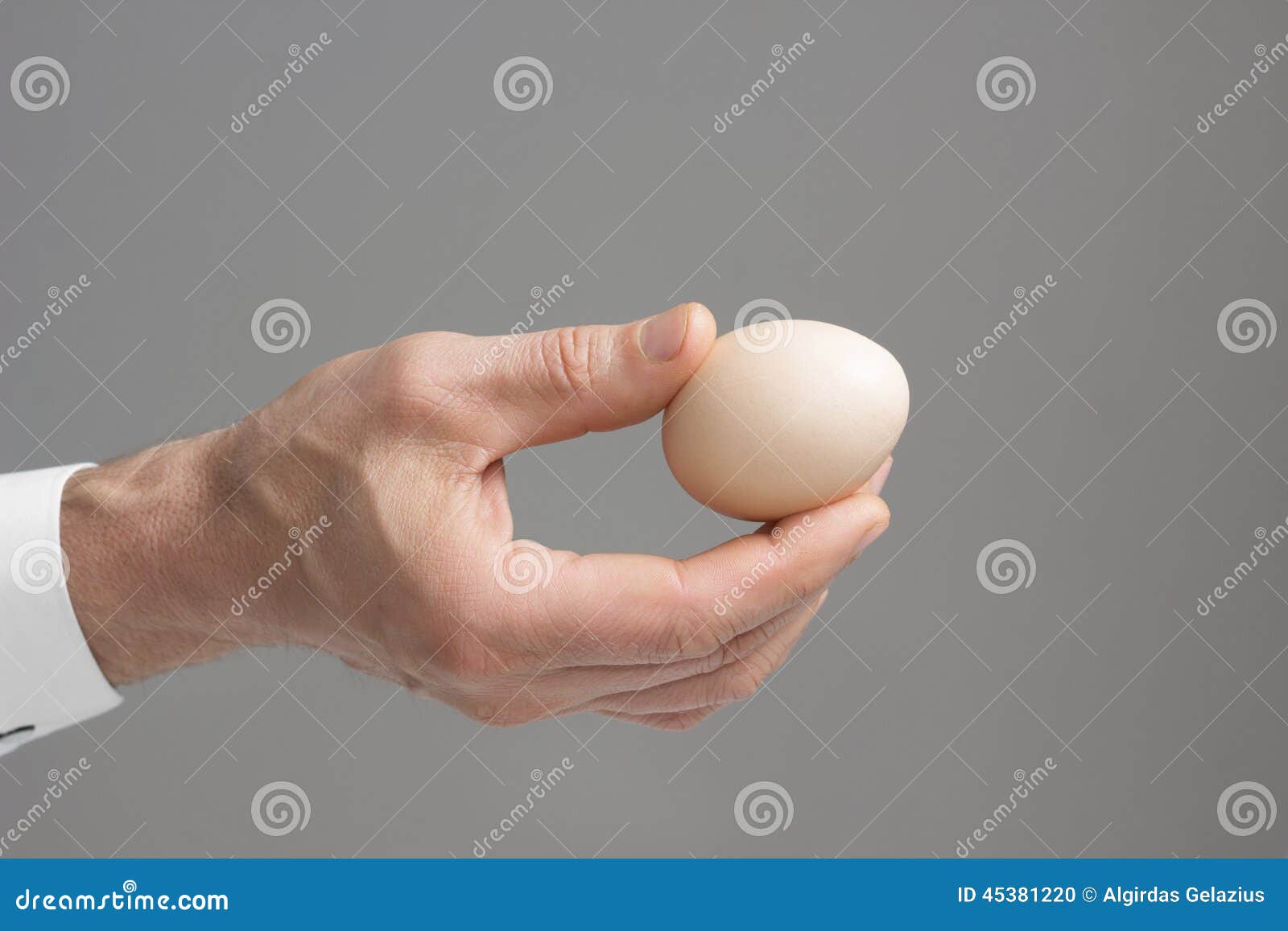 Hand with one hens egg. stock photo. Image of eggs, hens - 45381220