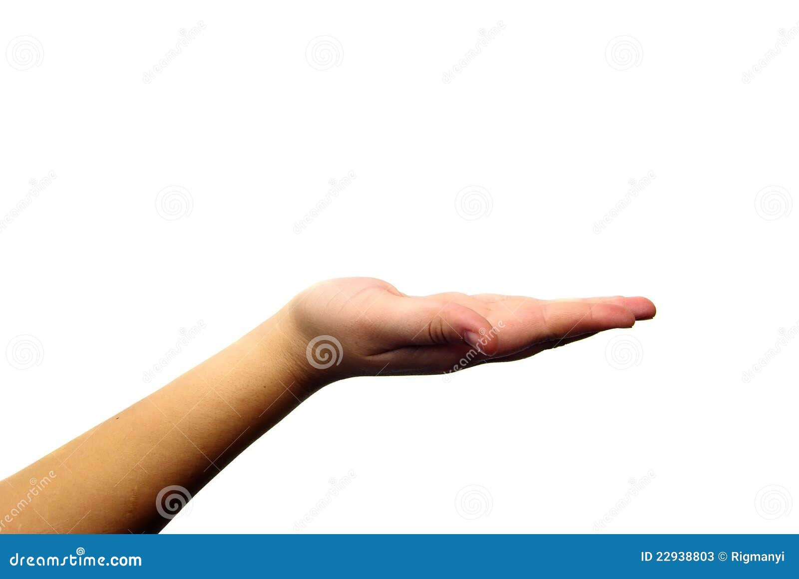 Hand open stock image. Image of female, holding, palm - 22938803