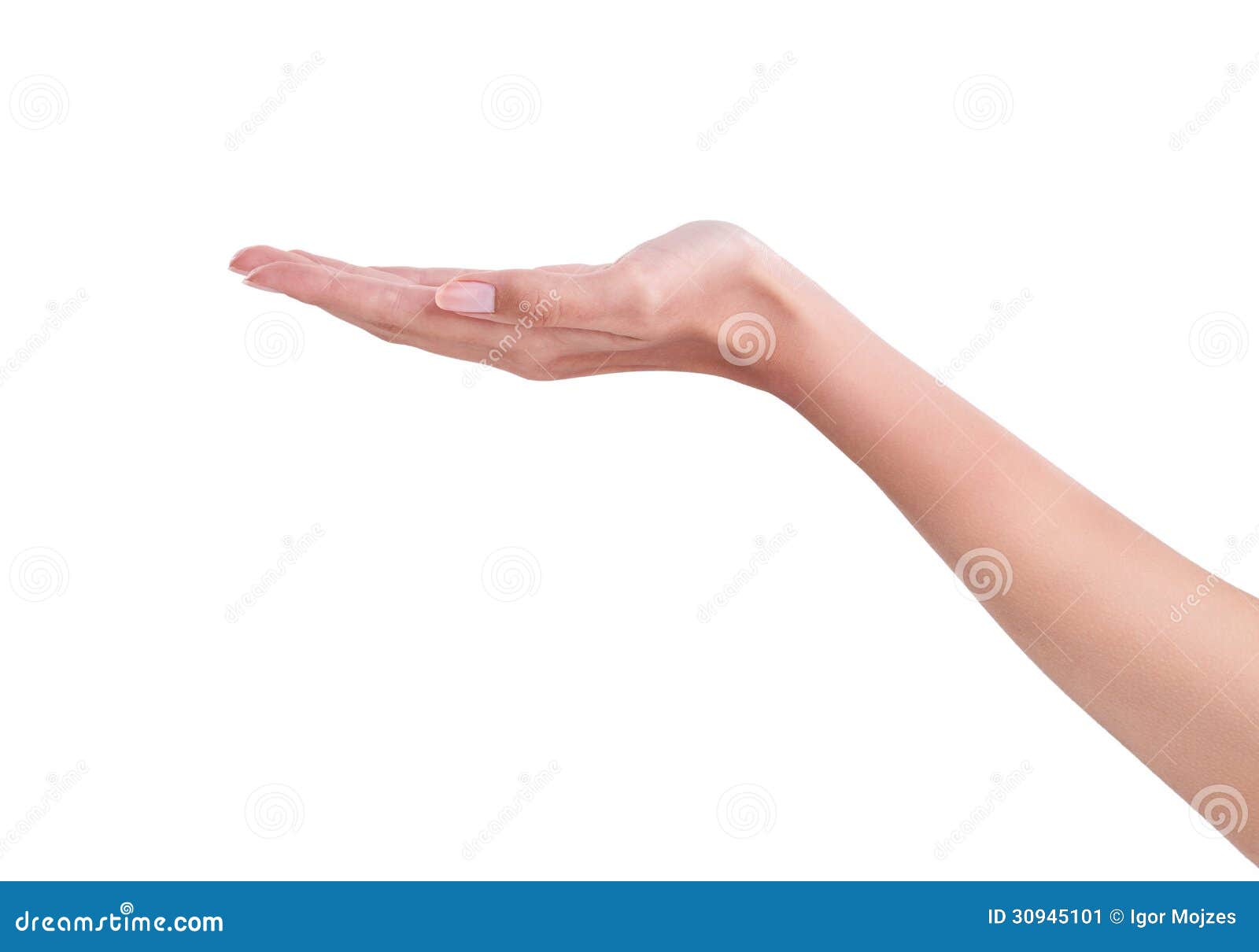 Hand Open- Isolated on White Stock Image - Image of palm, isolated ...