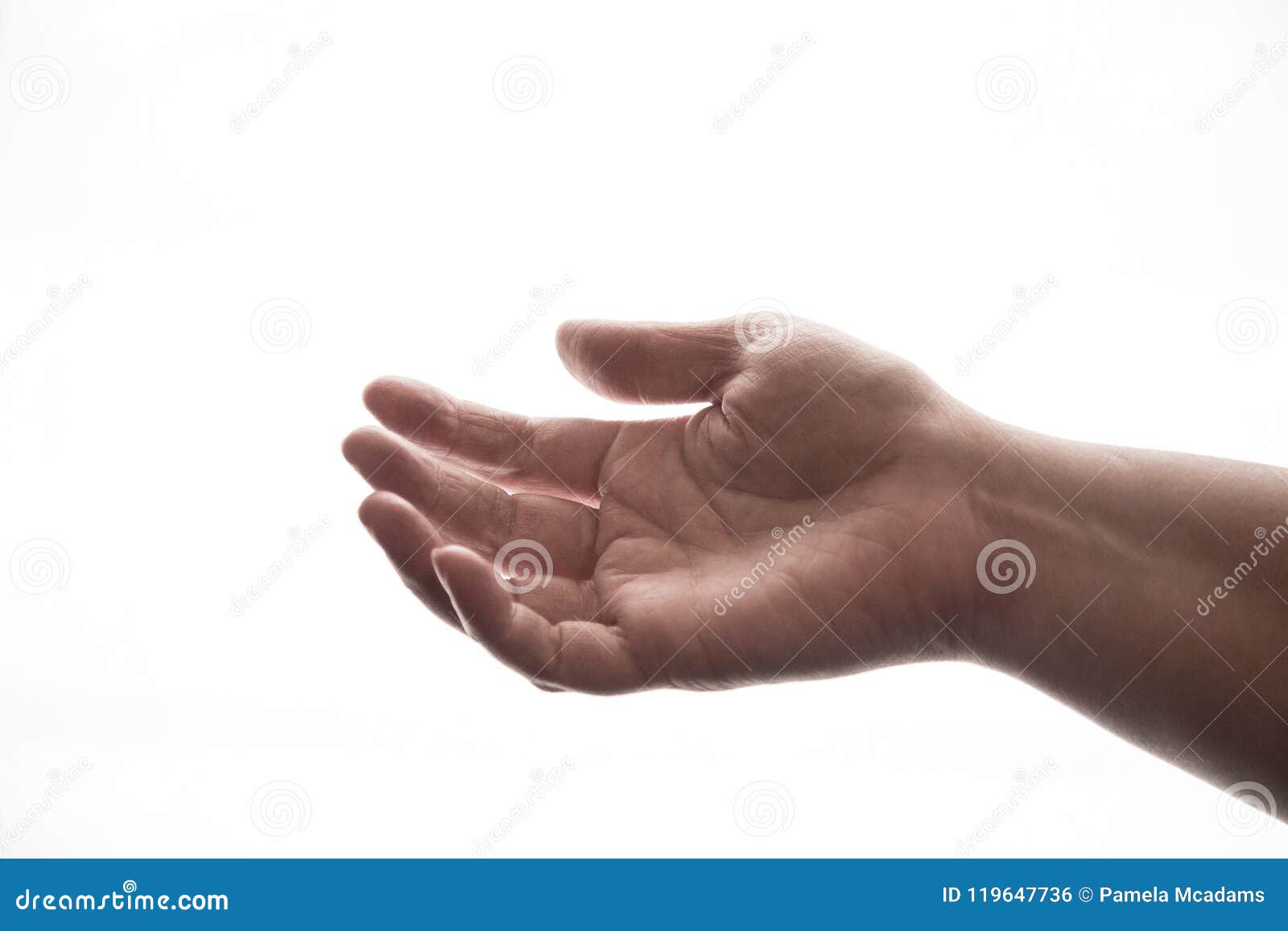 Hand Open in Prayer stock photo. Image of light, hands - 119647736